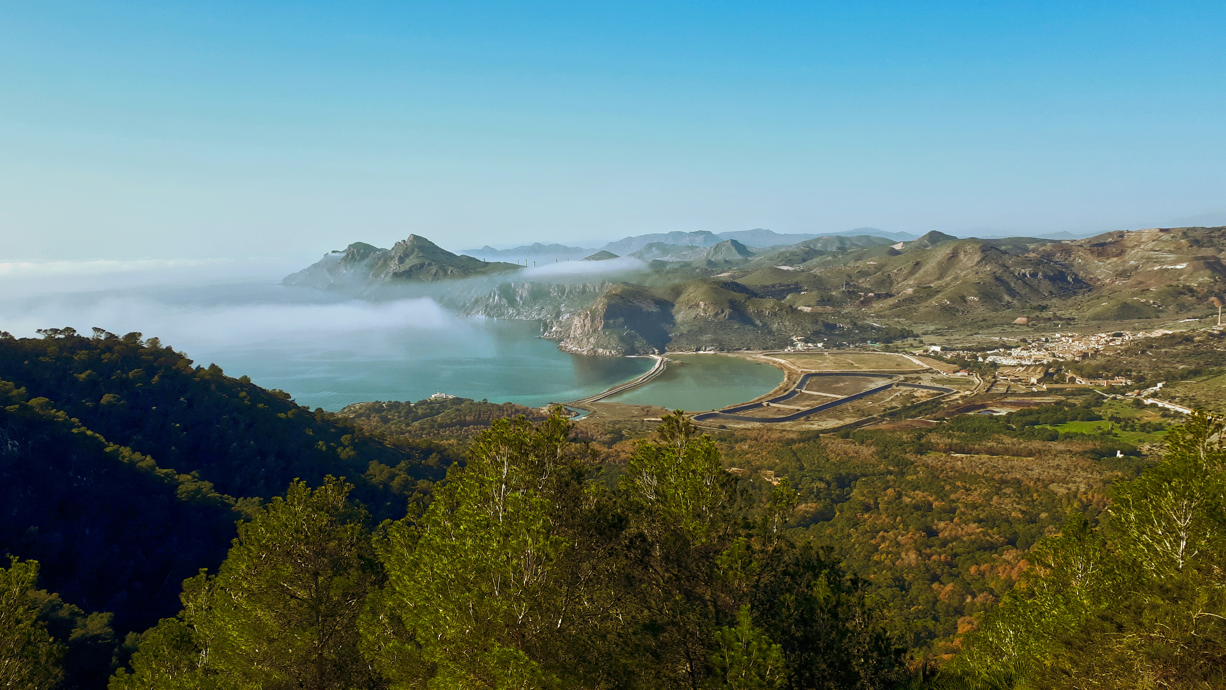 Mist-Kissed Ridge and the Curving Shoreline Road