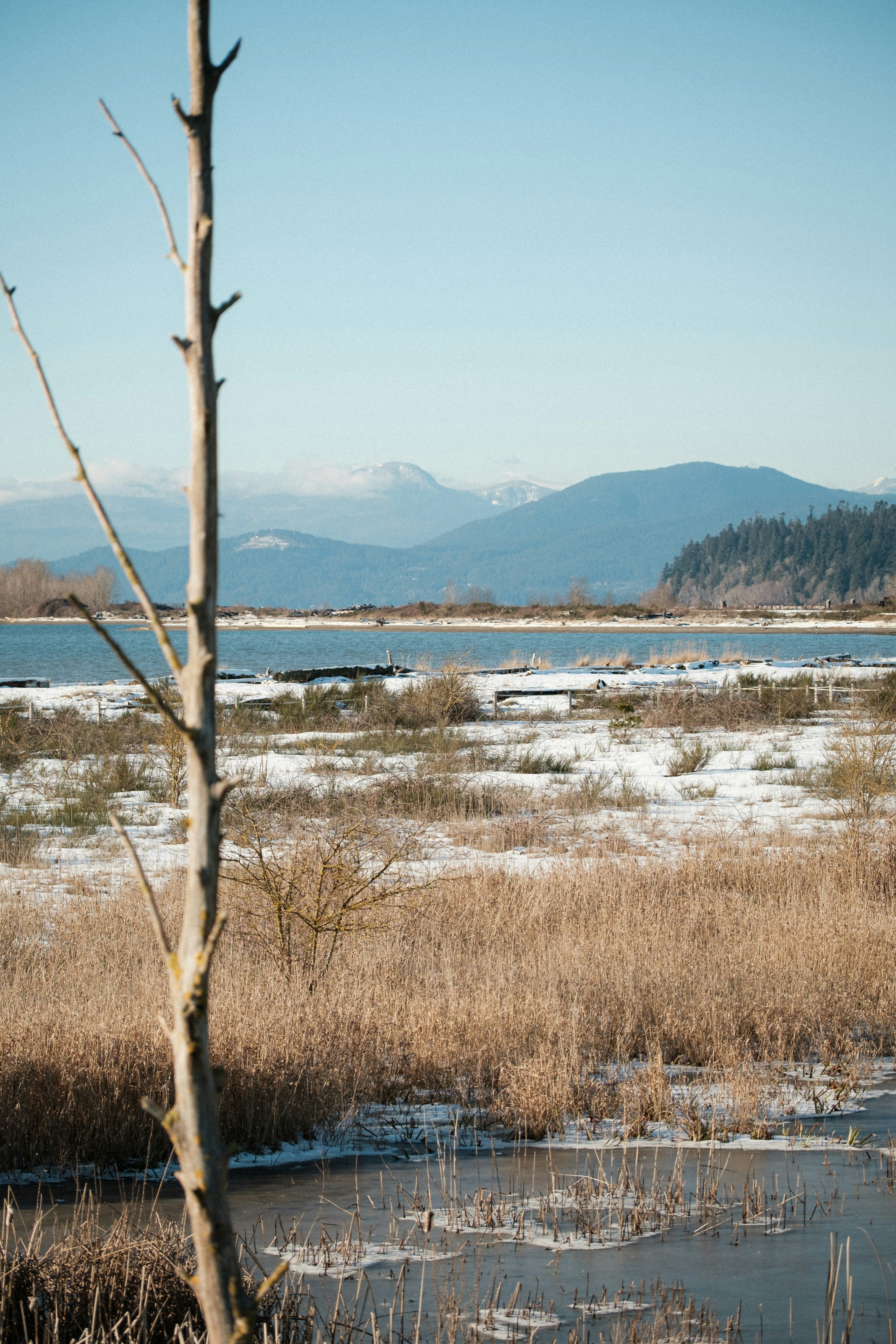 Jinsui Hu (@jh1223) | Comunidade de fotos da Unsplash