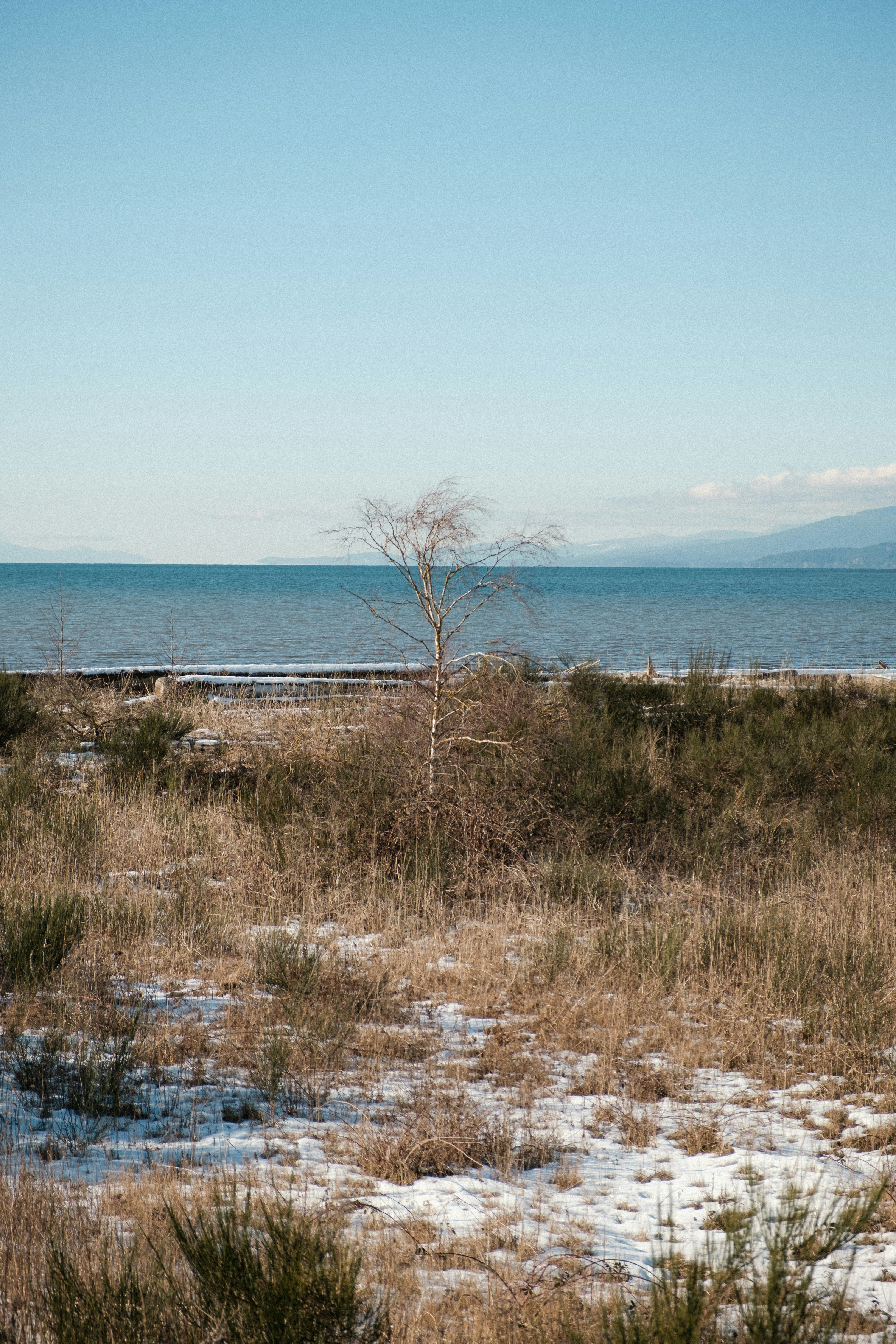 Jinsui Hu (@jh1223) | Comunidade de fotos da Unsplash