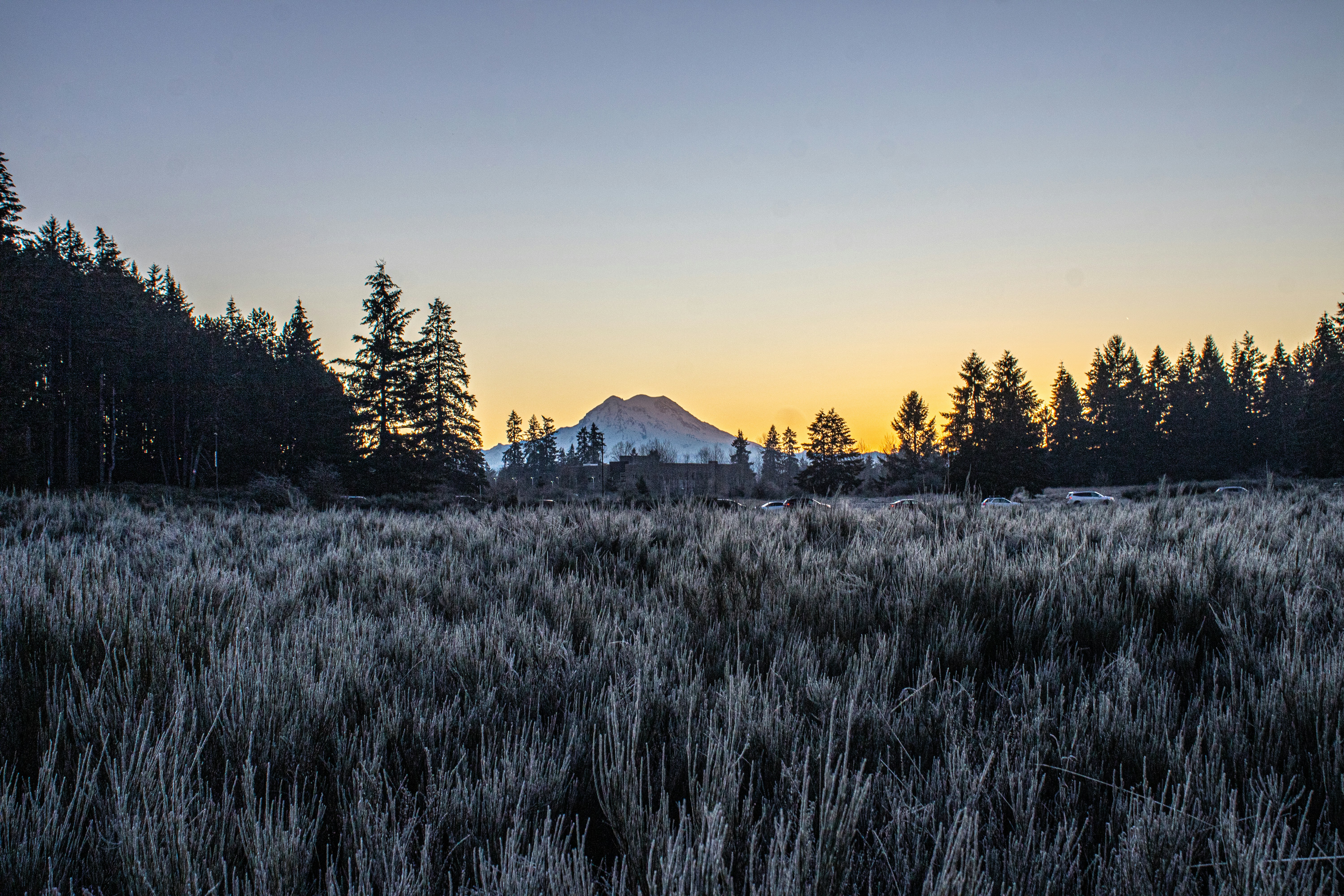 Golden Dawn Over Frosted Fields