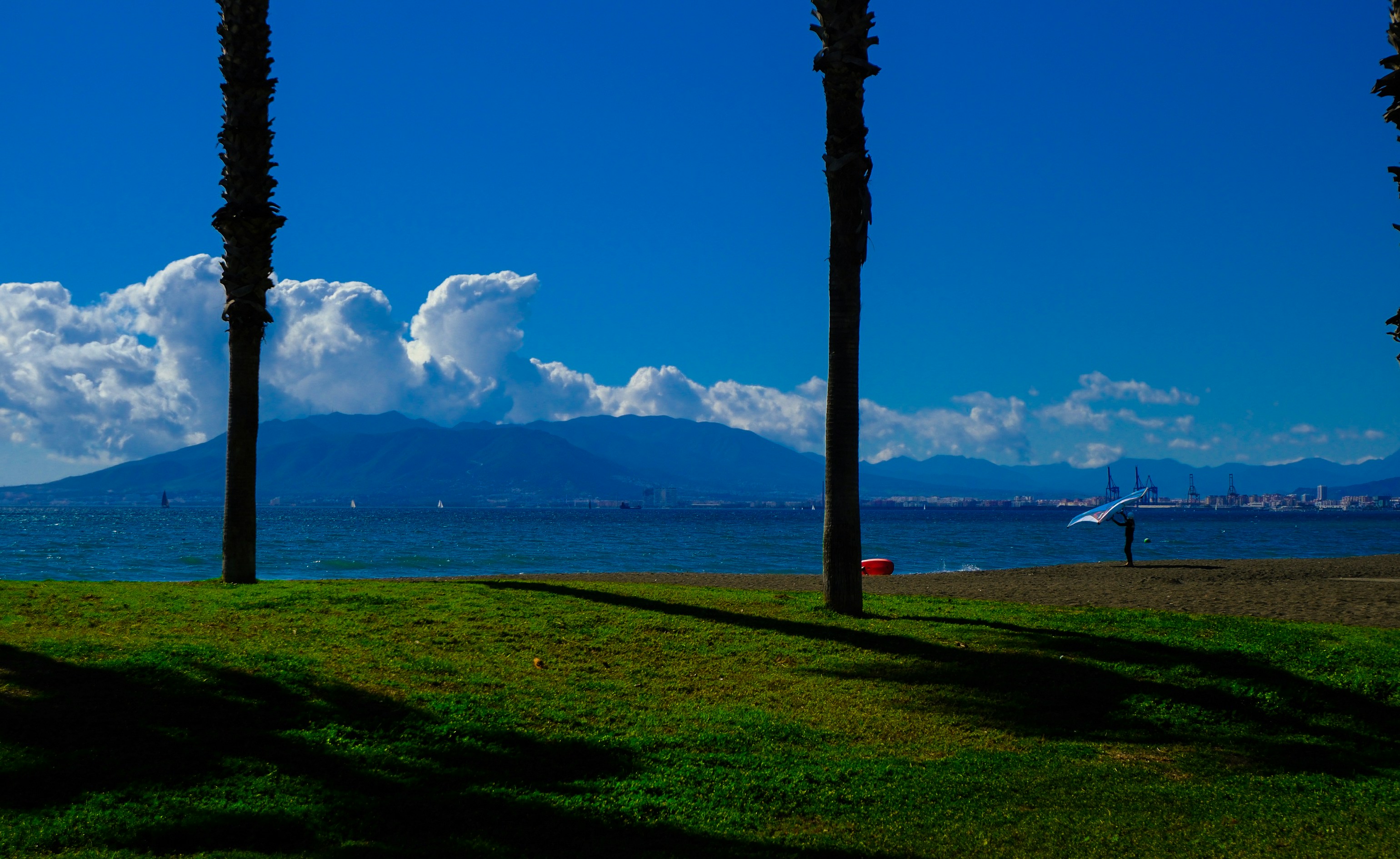 Palm trees cast long shadows on a grassy shoreline with distant mountains under fluffy clouds.
