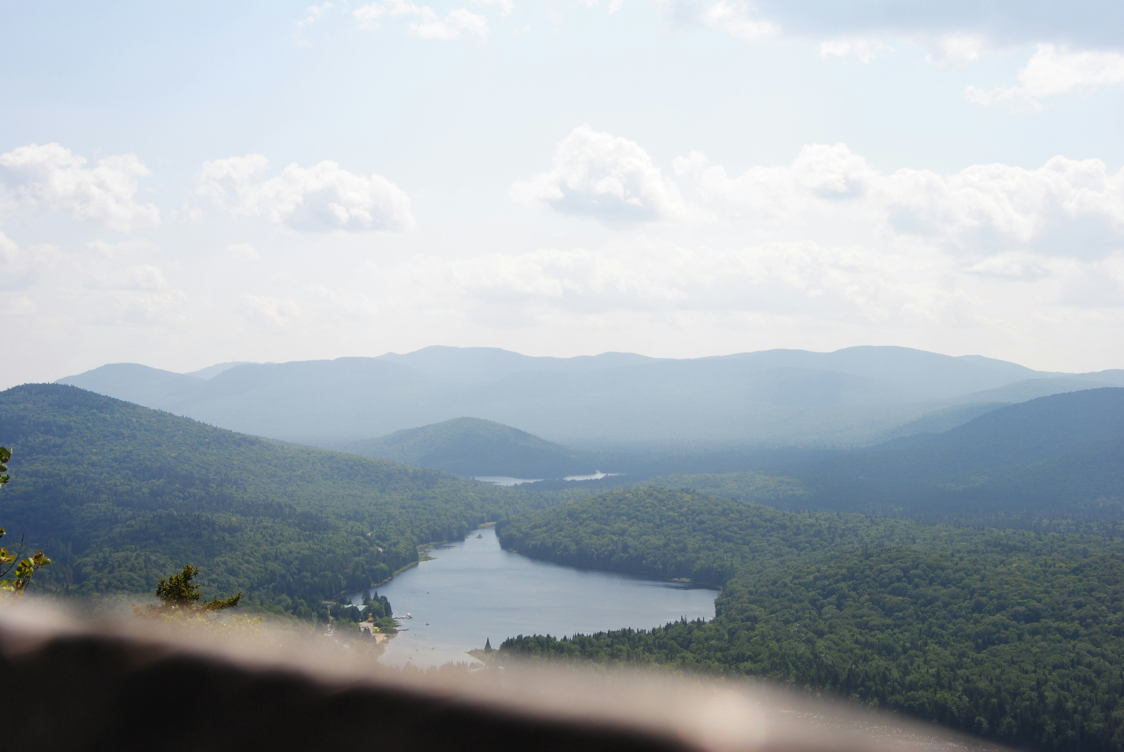 Expansive view of a lush green valley with a winding river under a soft, cloudy sky.