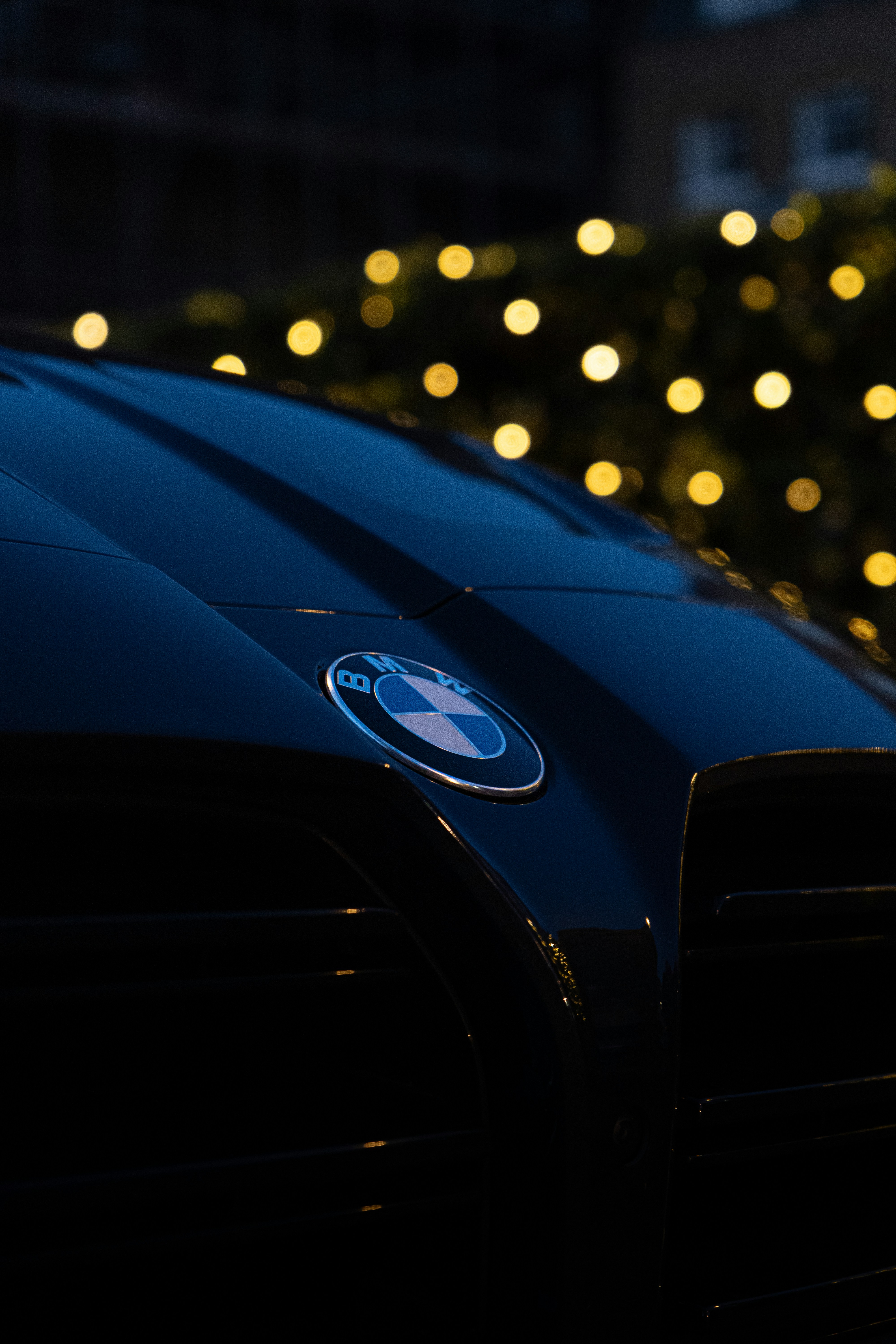Midnight Badge Anchored on Velvet Hood Amid City Lights