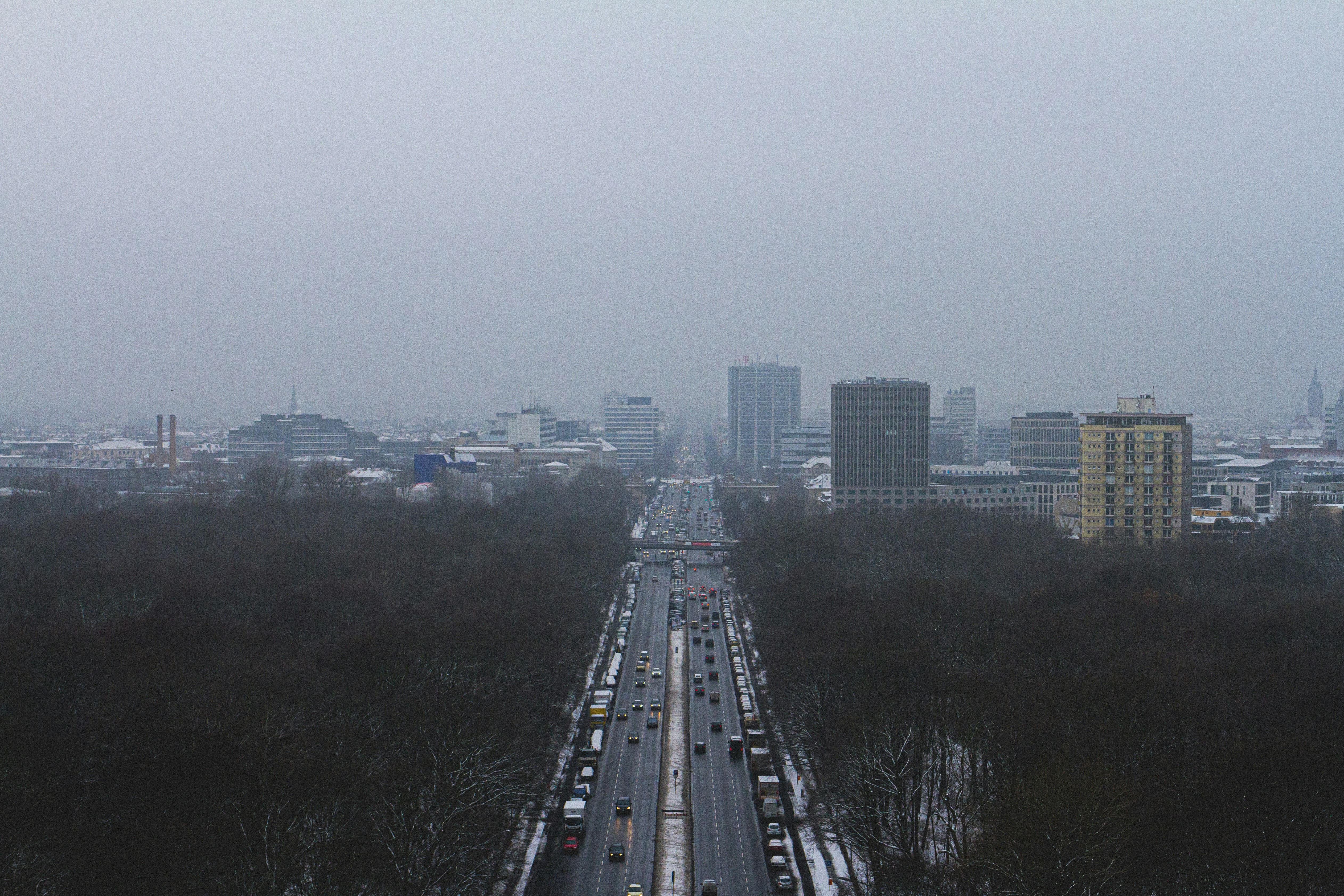 Urban Veins in Winter's Embrace