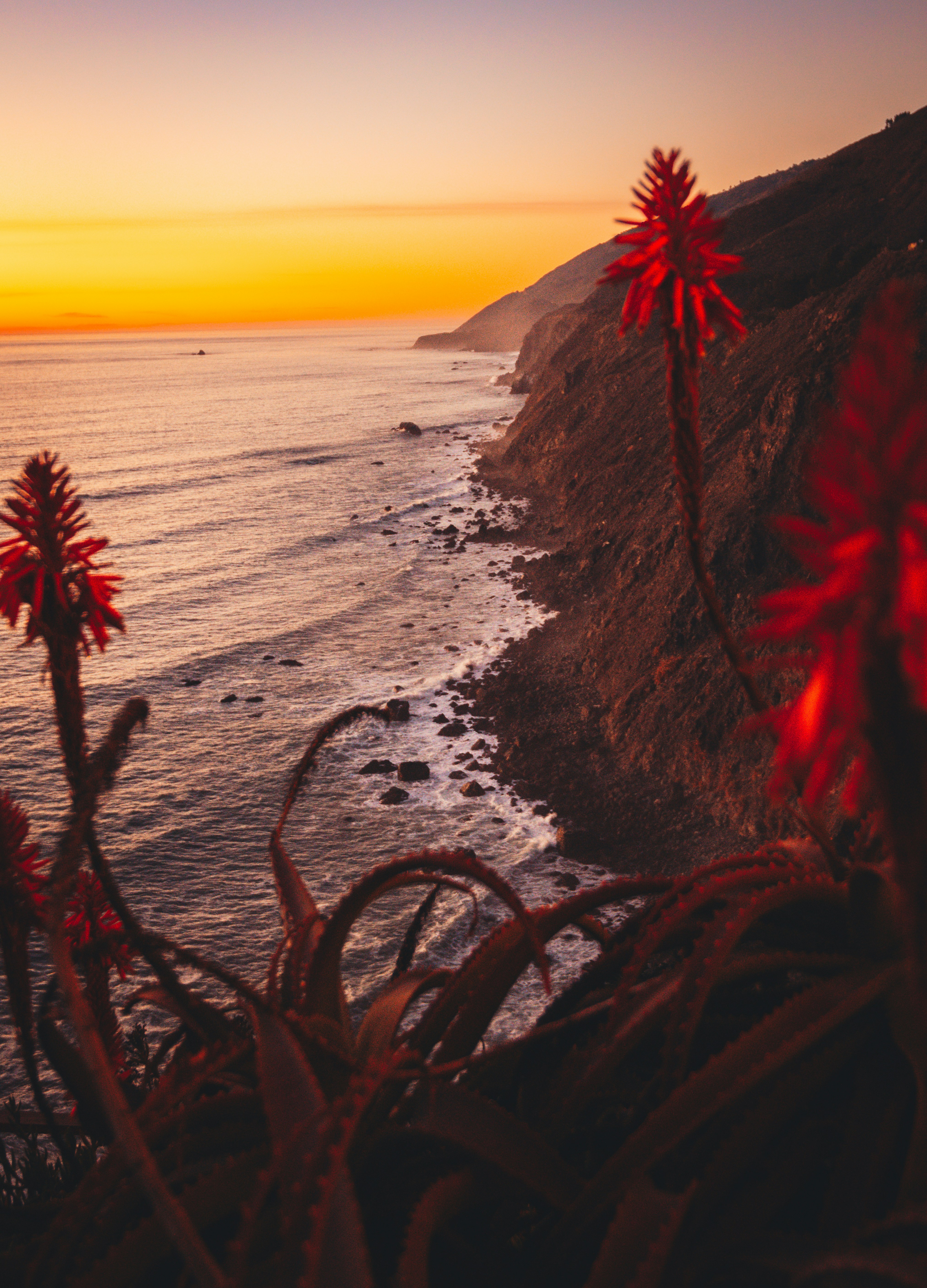 Photo by Norm Hutton with Nikon D850