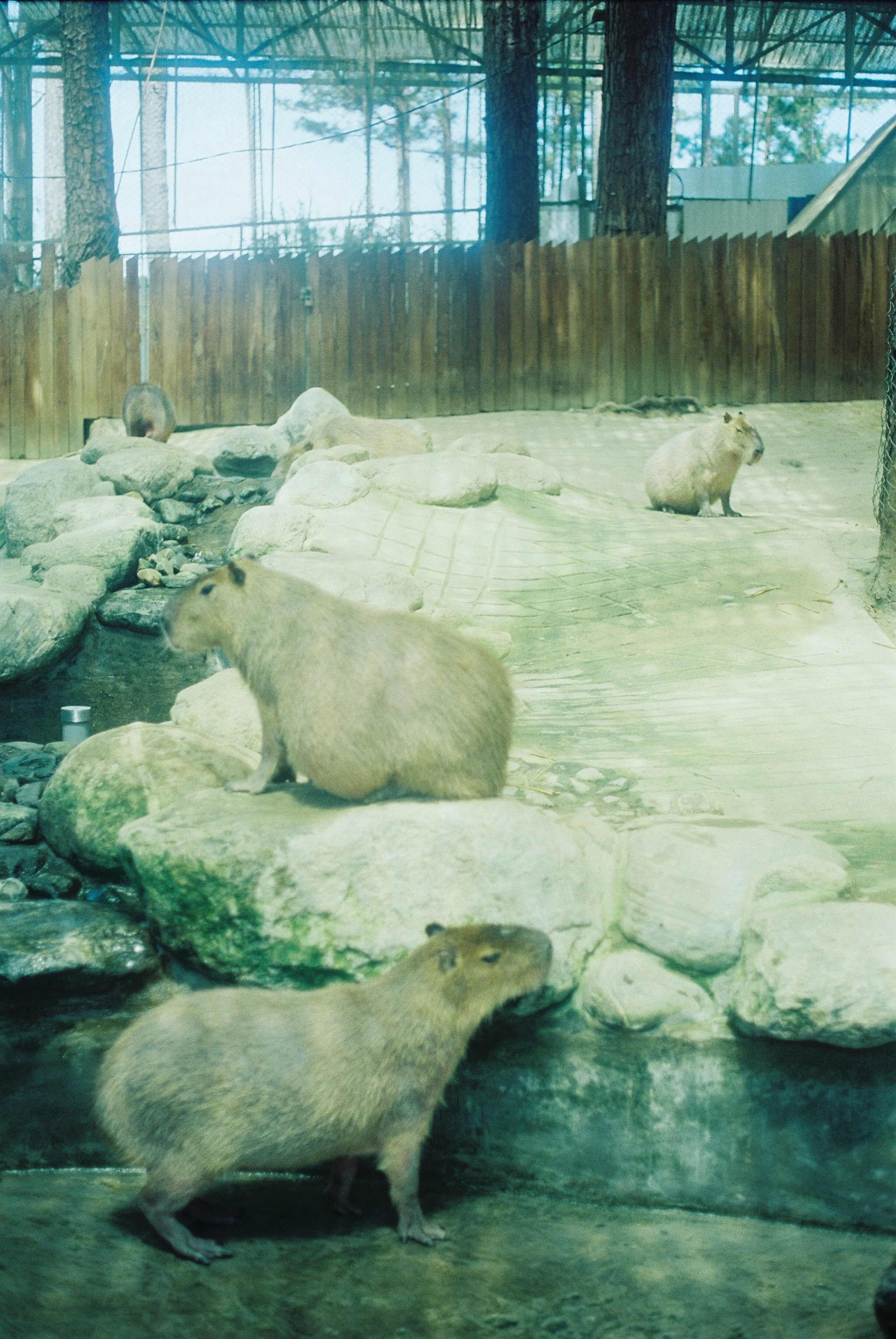 Photo by bovin wook with Fujifilm SP-3000