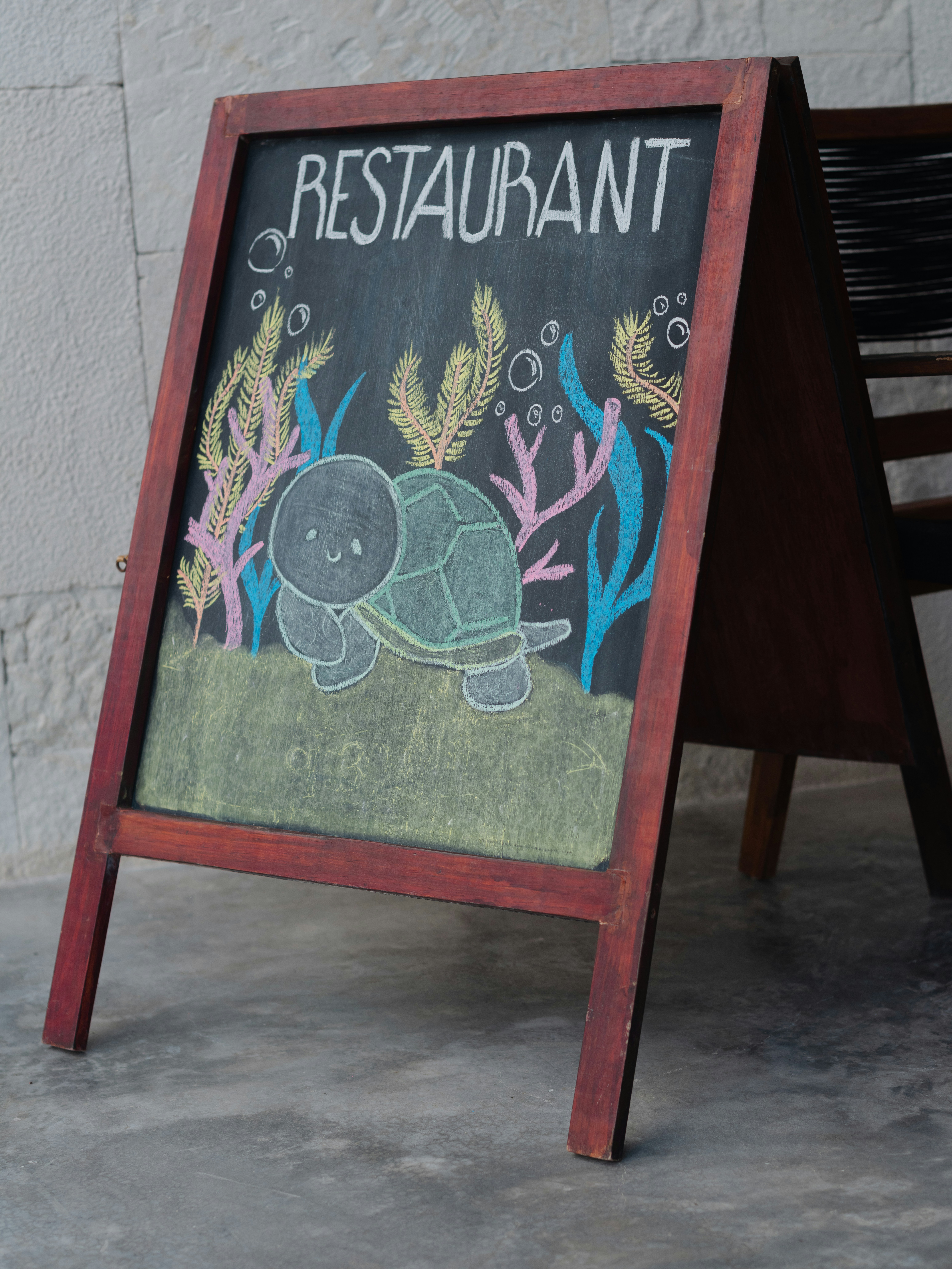 A chalkboard sign with a picture of a turtle on it photo – Free Tankah ...