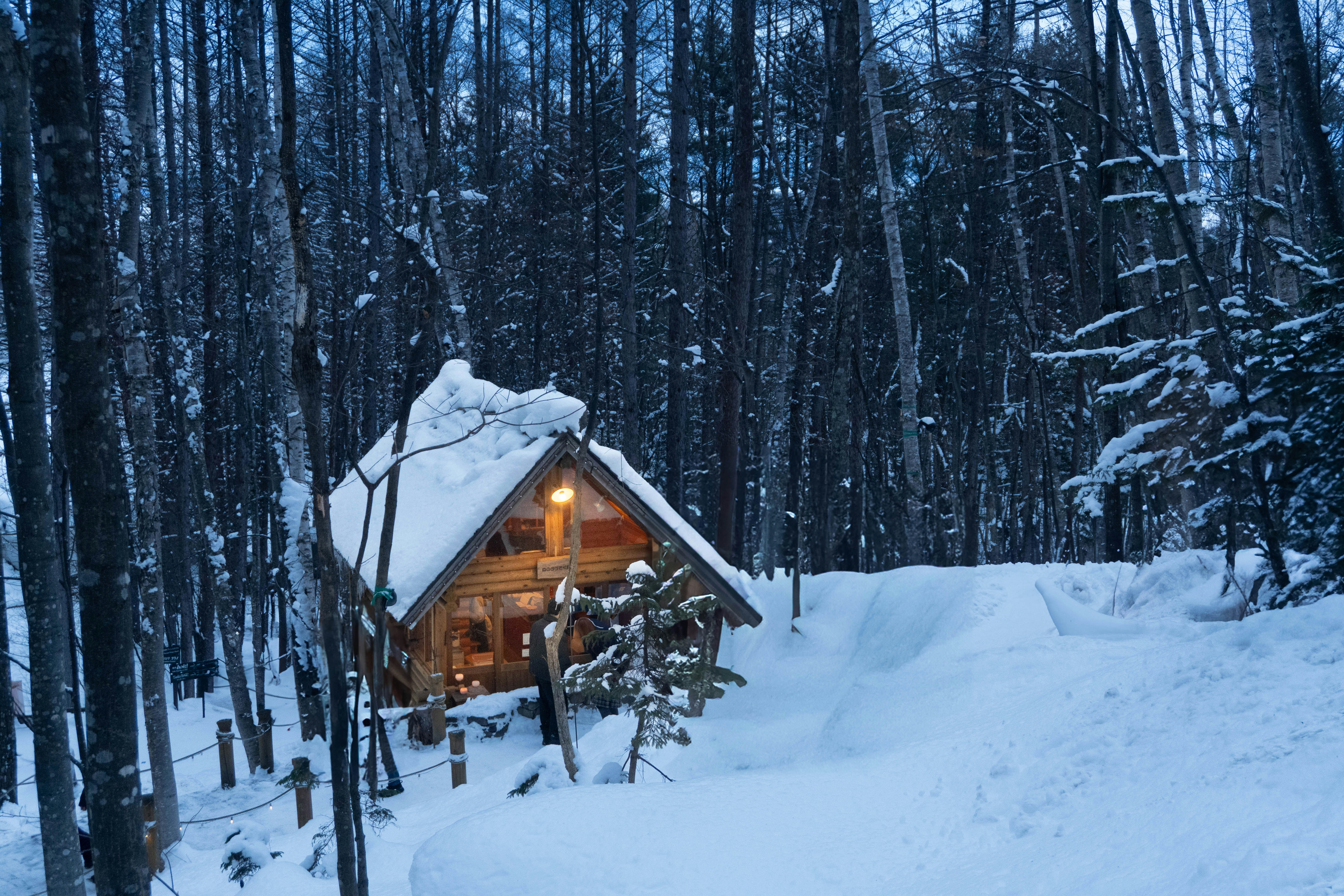 Log home building plans: 7 Dream Designs 2025