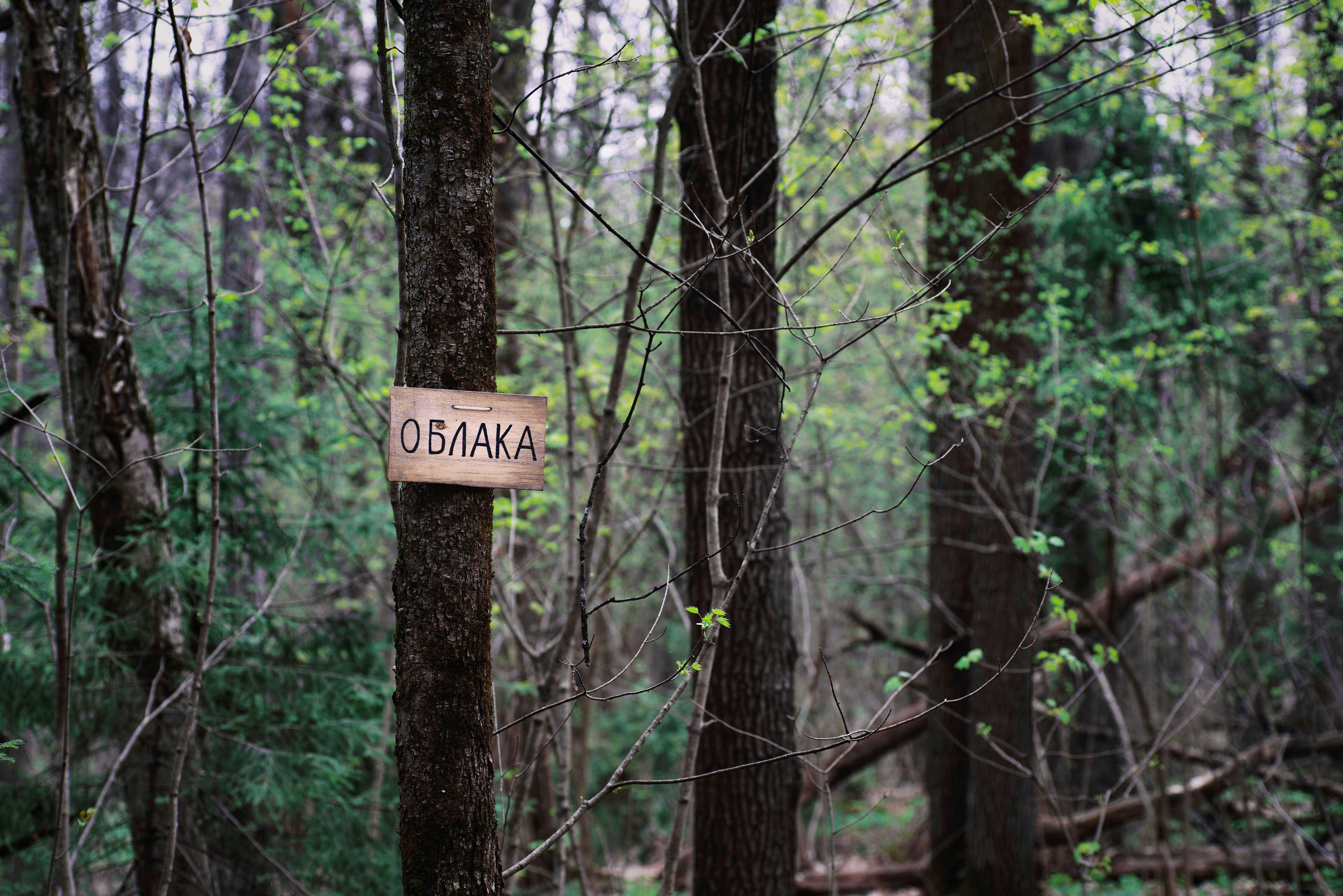 Photo by Pavel Avakumov with Nikon D800E