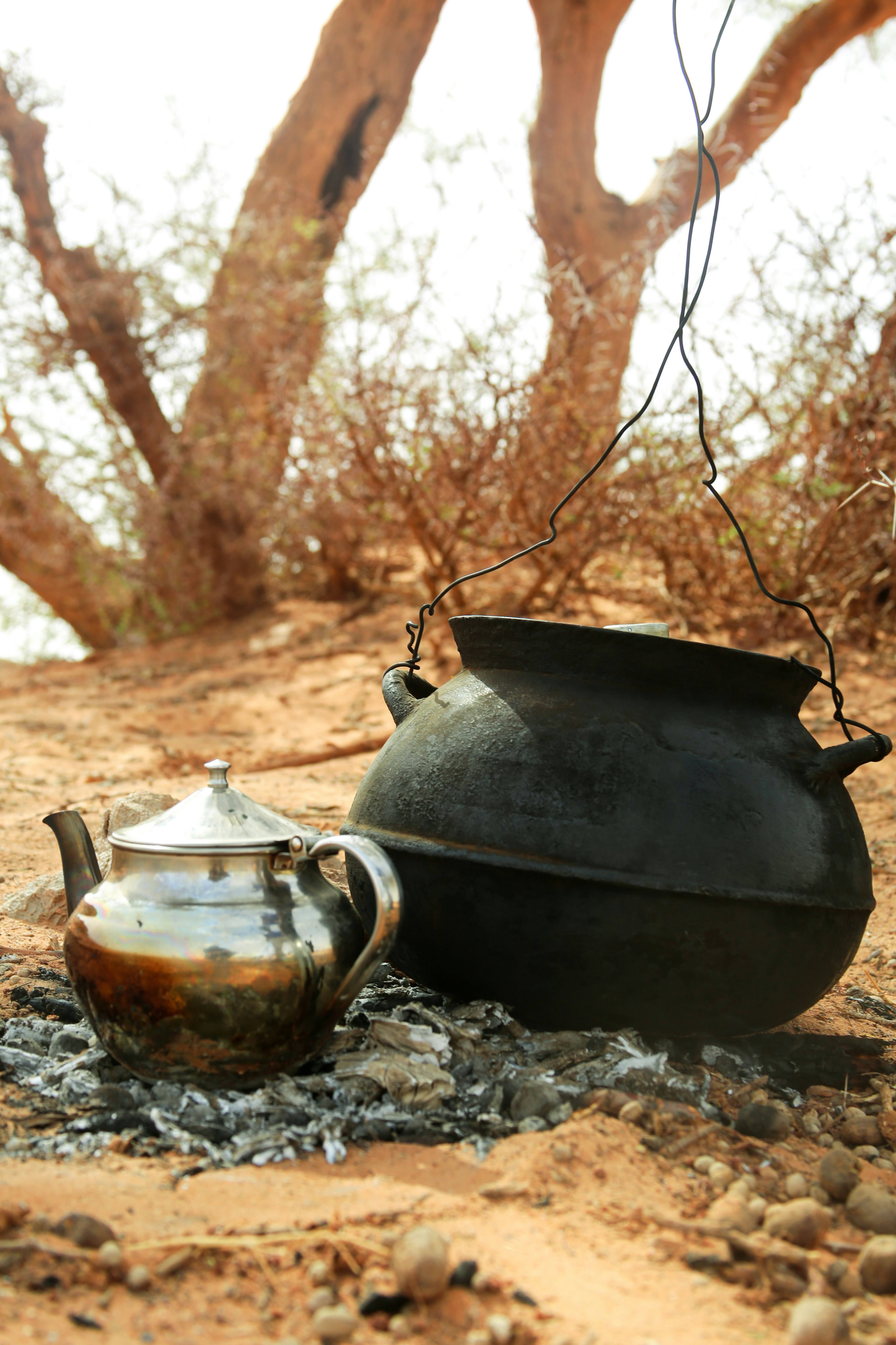 A tea pot and kettle sitting on the ground photo – Free Cookware Image ...