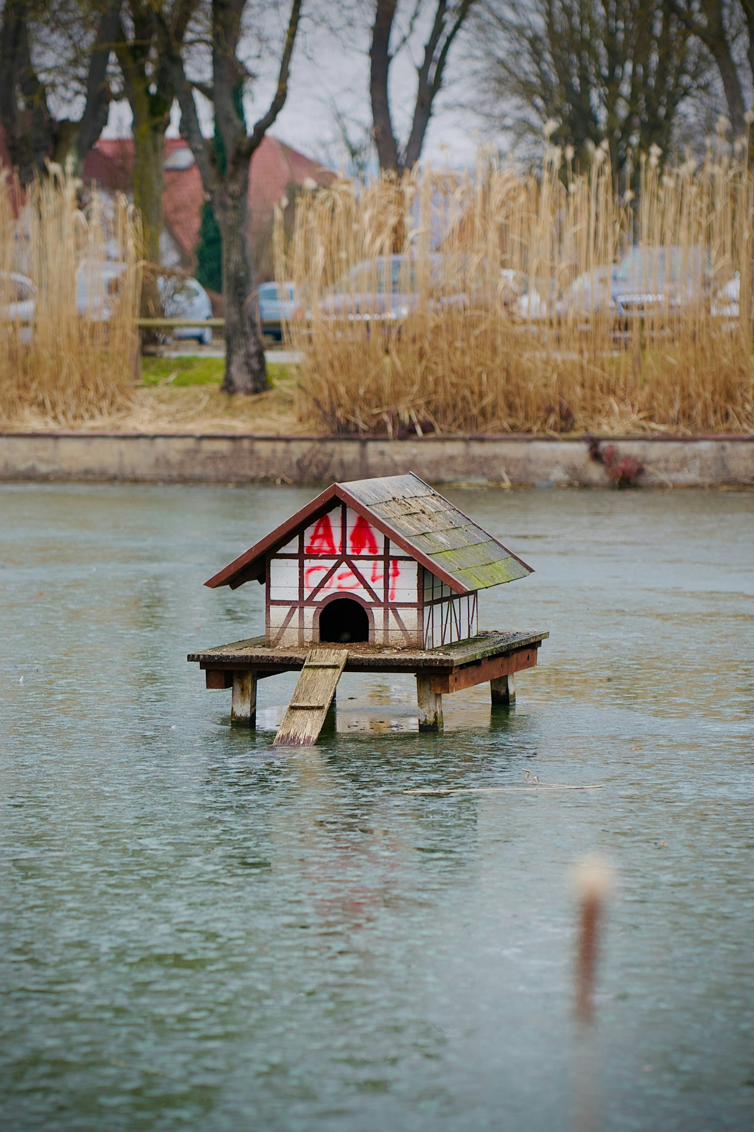 Tiny Cottage on a Floating Platform: Red-Trim House Quietly Anchored by Reeds