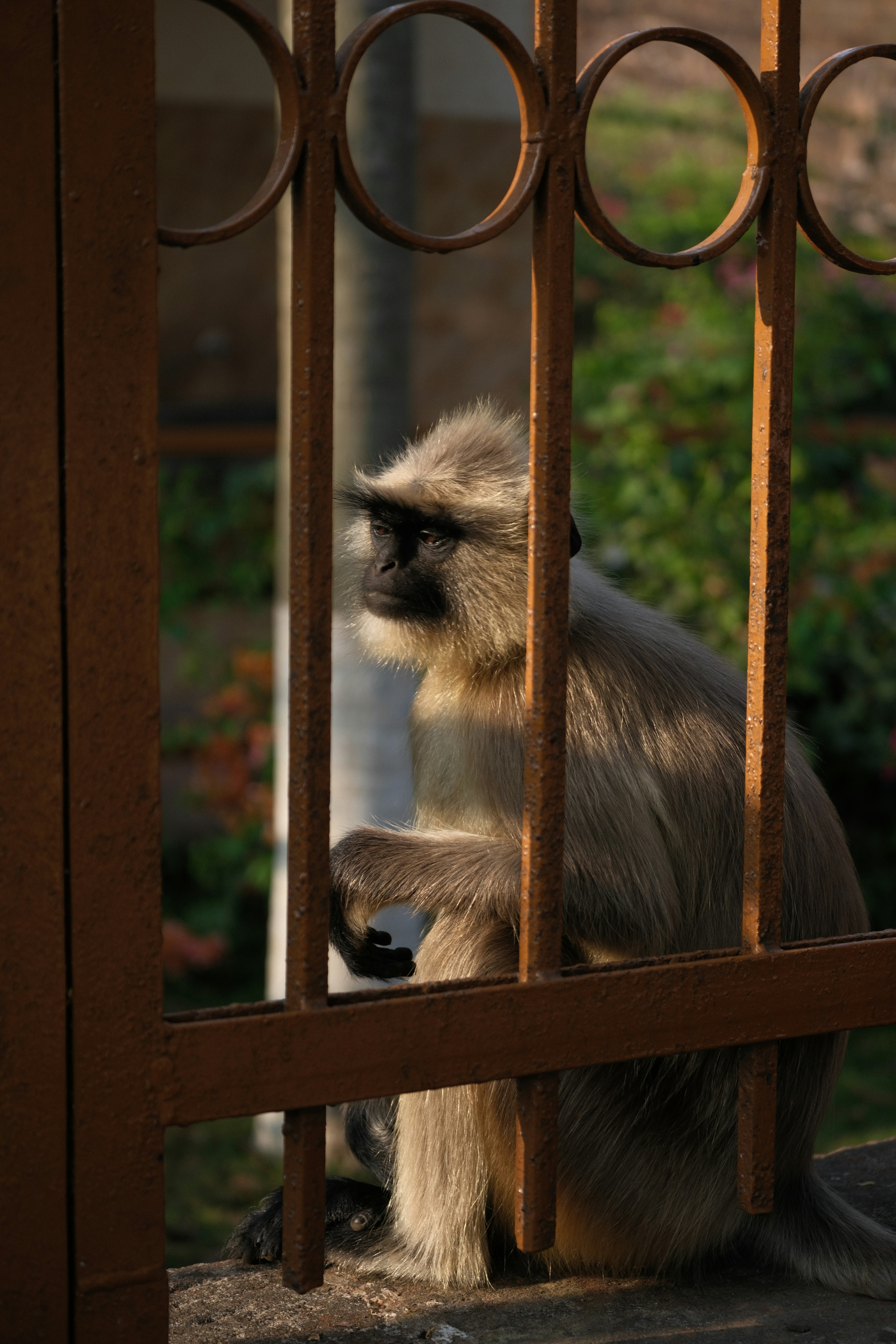 Photo by Simone Dinoia with Fujifilm X-T5