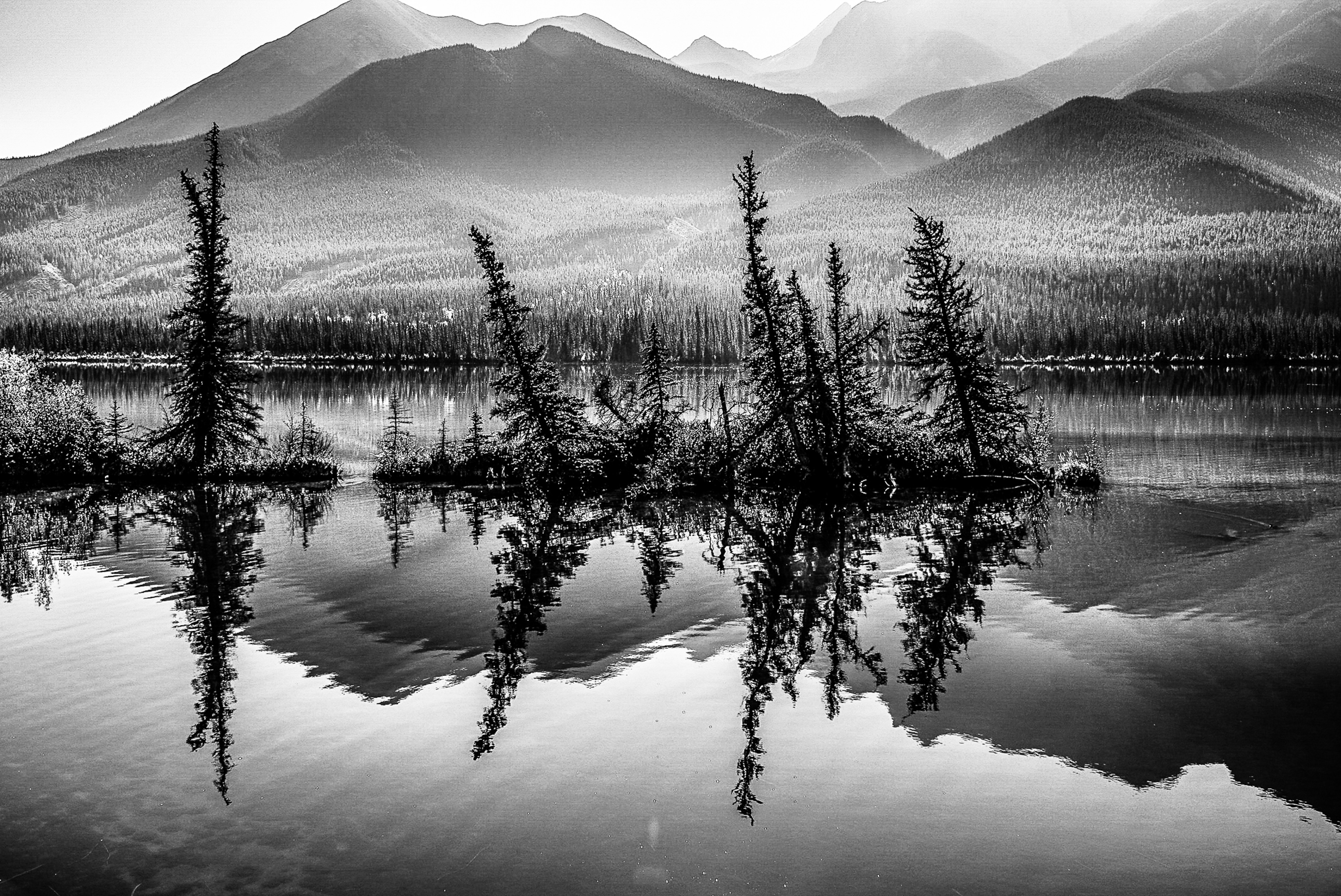 Black and white scene of trees reflected in a calm lake with layered mountain ranges in the background.