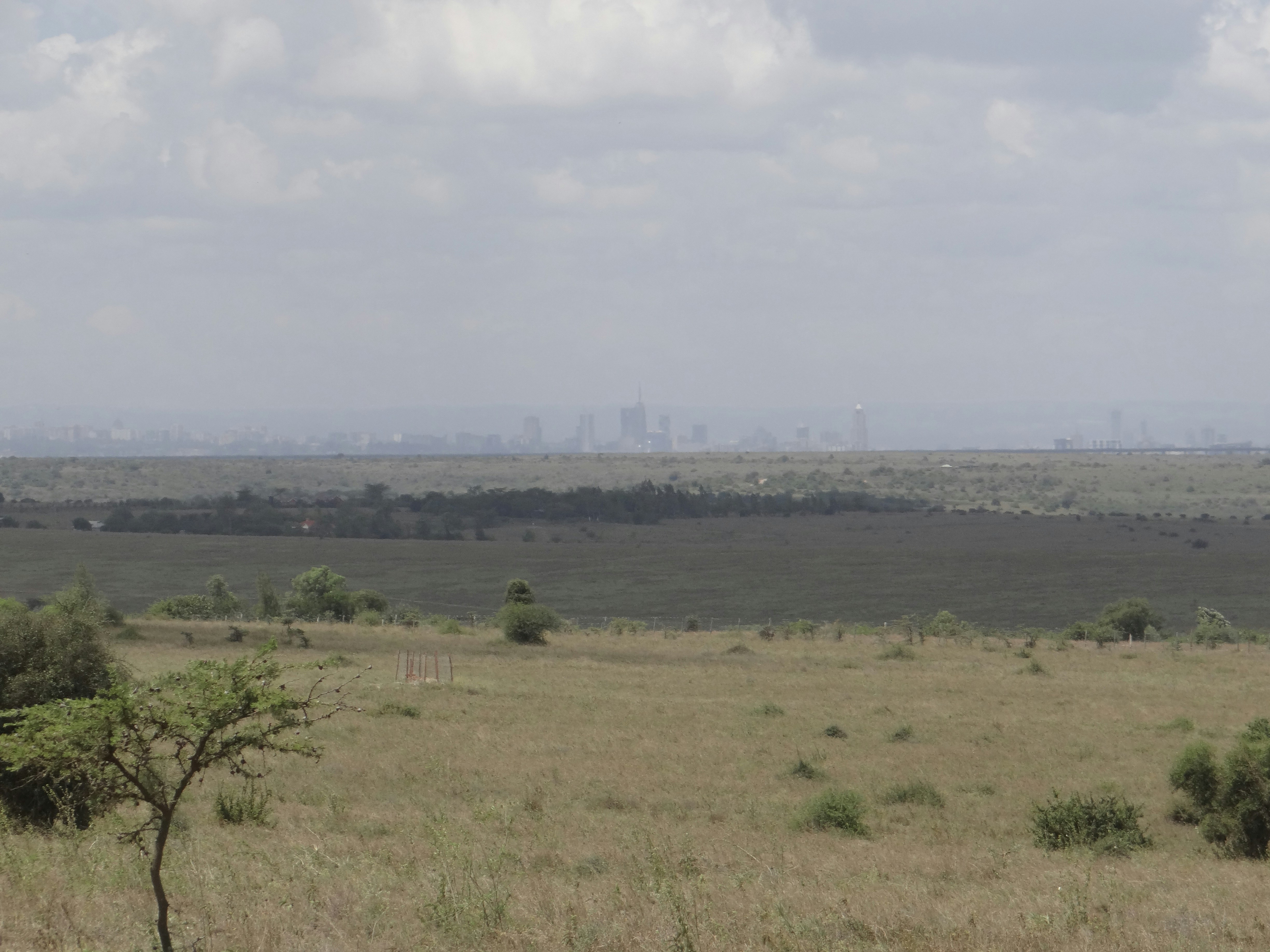 Expansive dry grassland with scattered shrubs, Nairobi's skyline faintly visible under a cloudy sky.