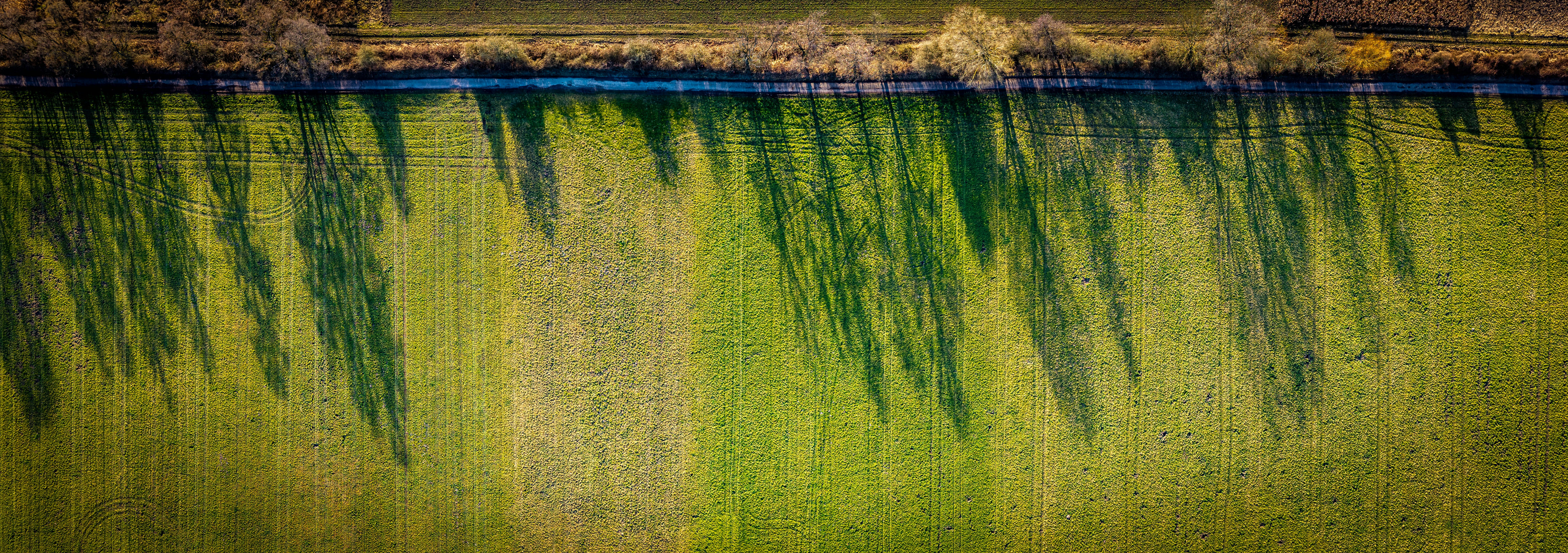 Aerial view of a green field with long shadows from trees along a narrow path, creating an abstract pattern.