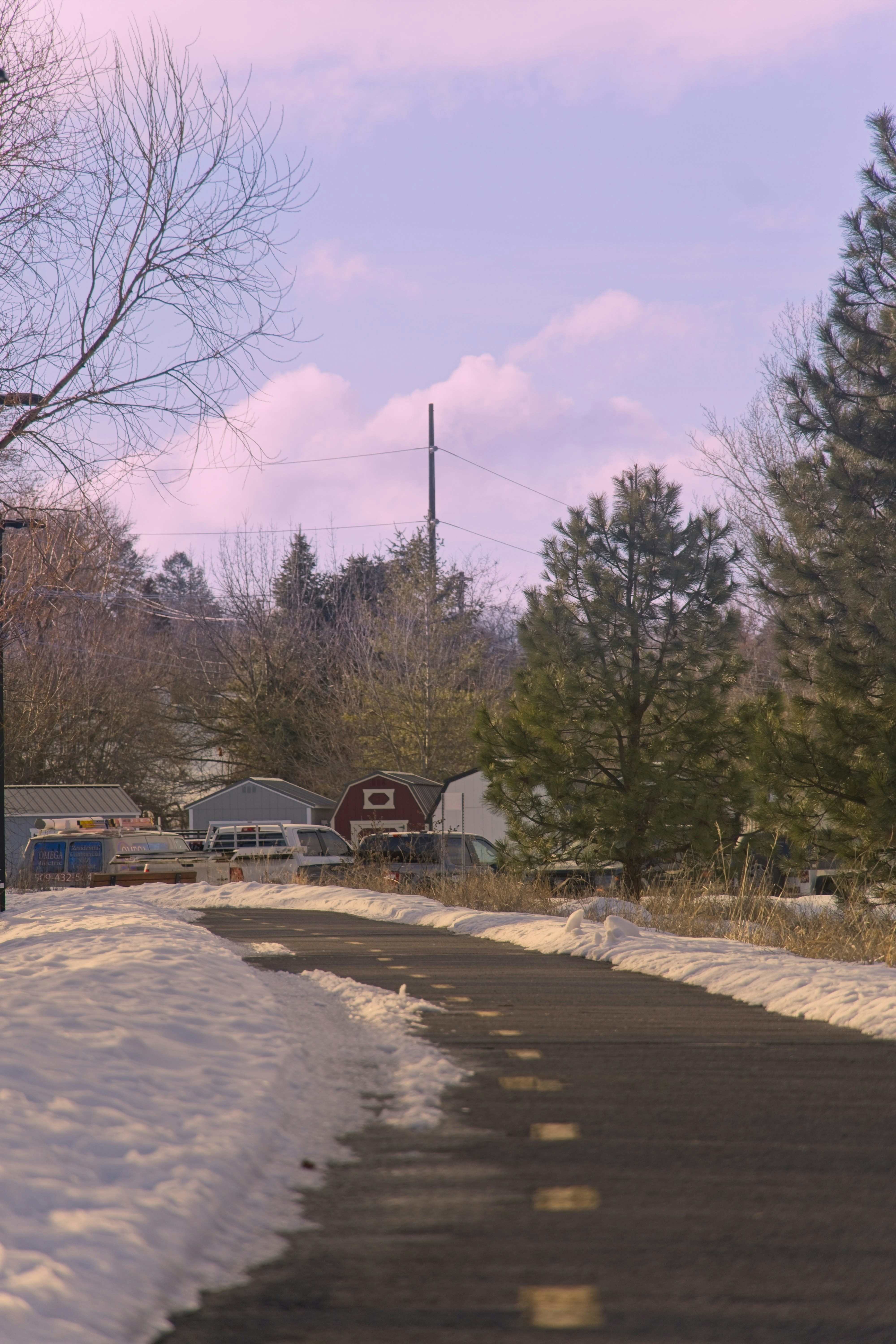 Pink-tinged Winter Lane: Snow, Pines, and a Distant Red Barn