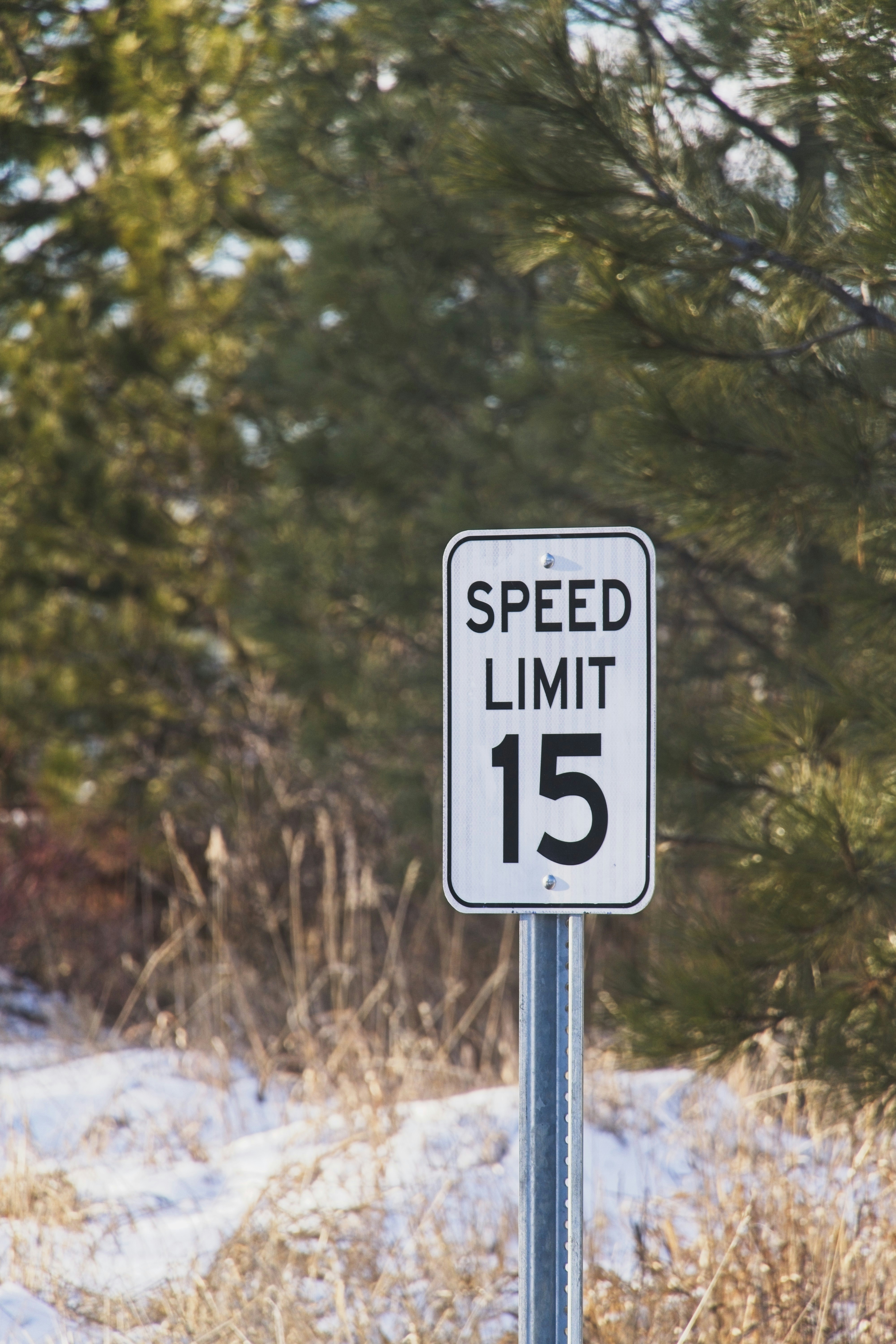 Speed Limit Sign in a Snowy Clearing