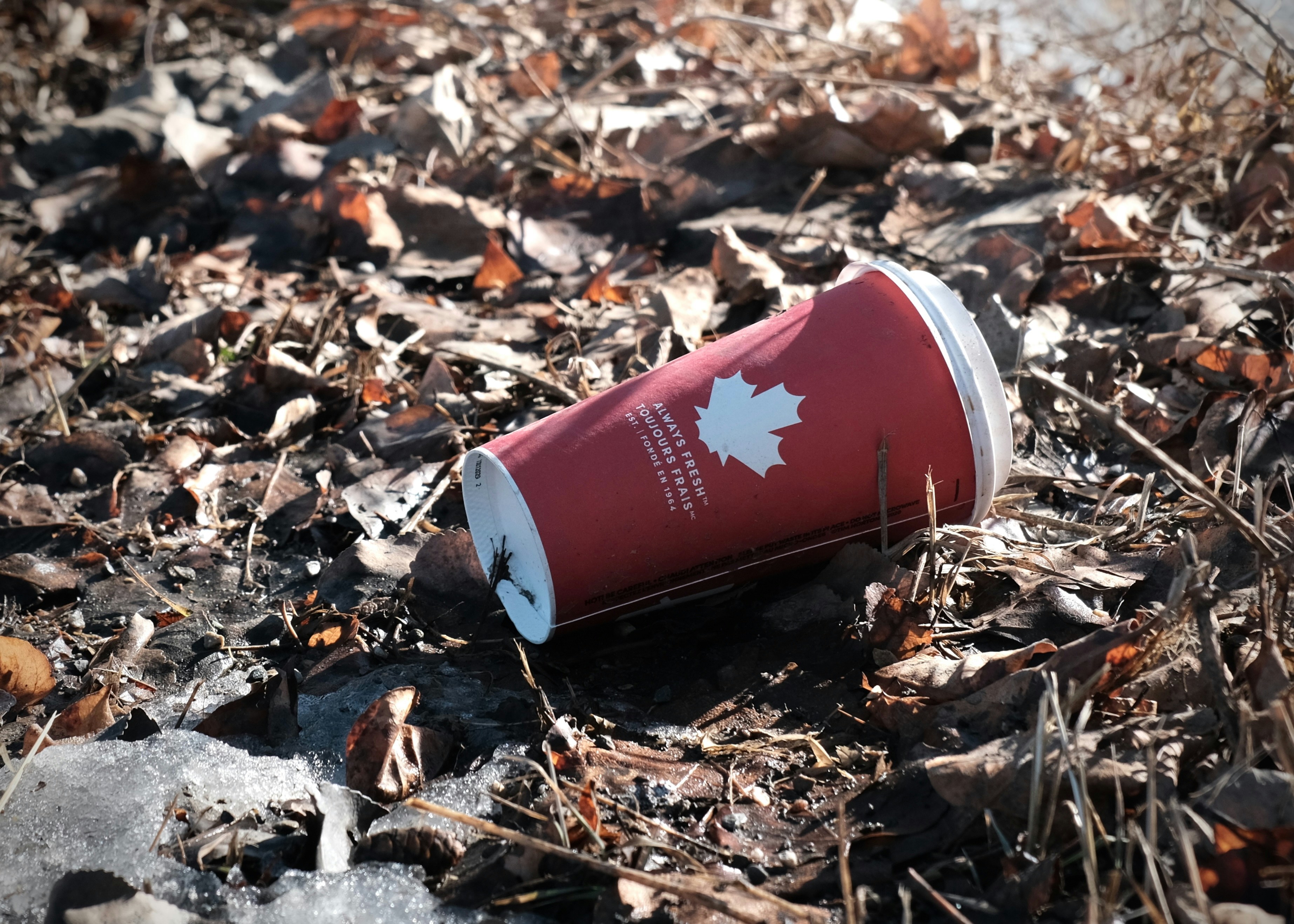 Red takeaway cup adrift in autumn rubble
