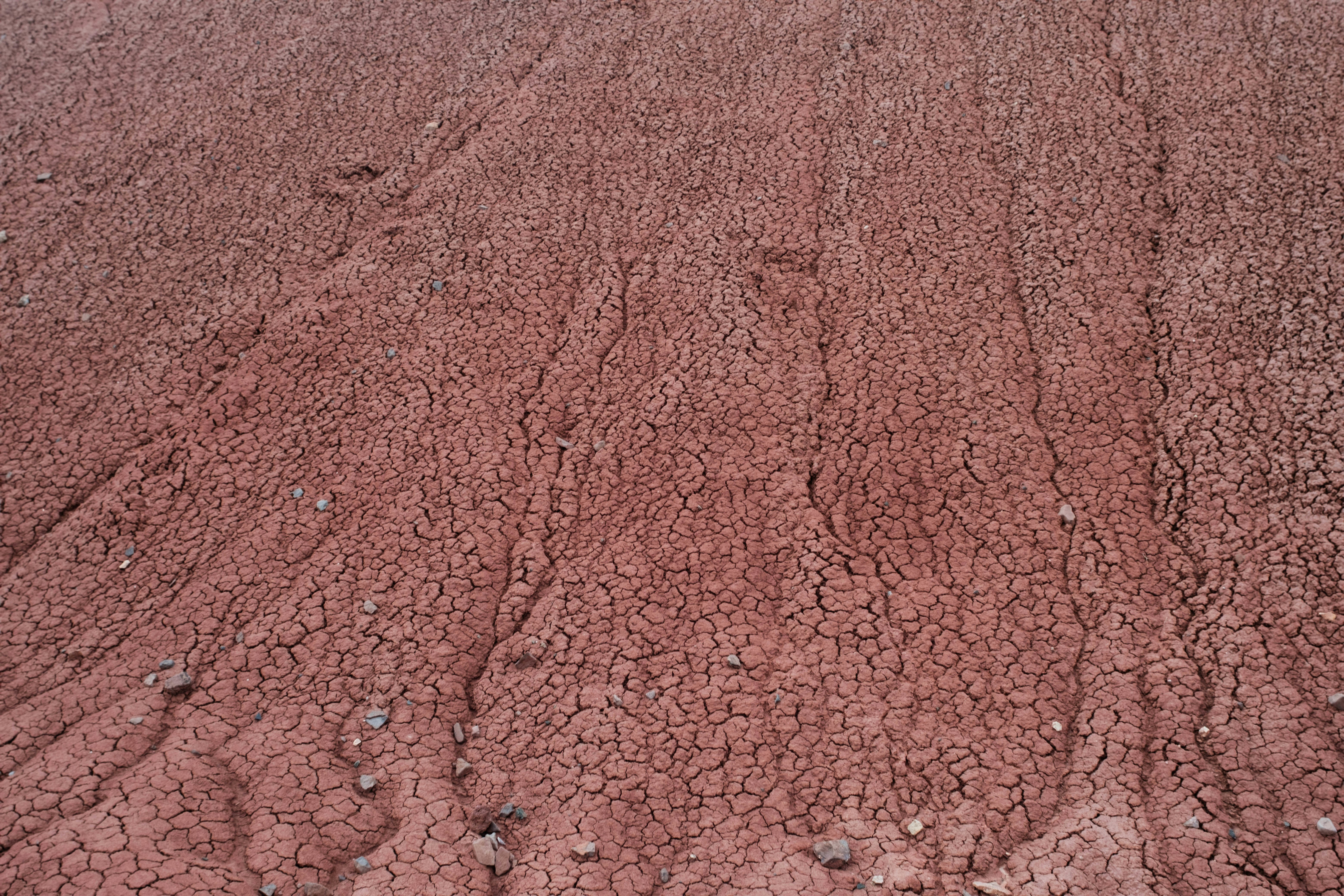 A red dirt field with small rocks in the middle of it photo – Free ...