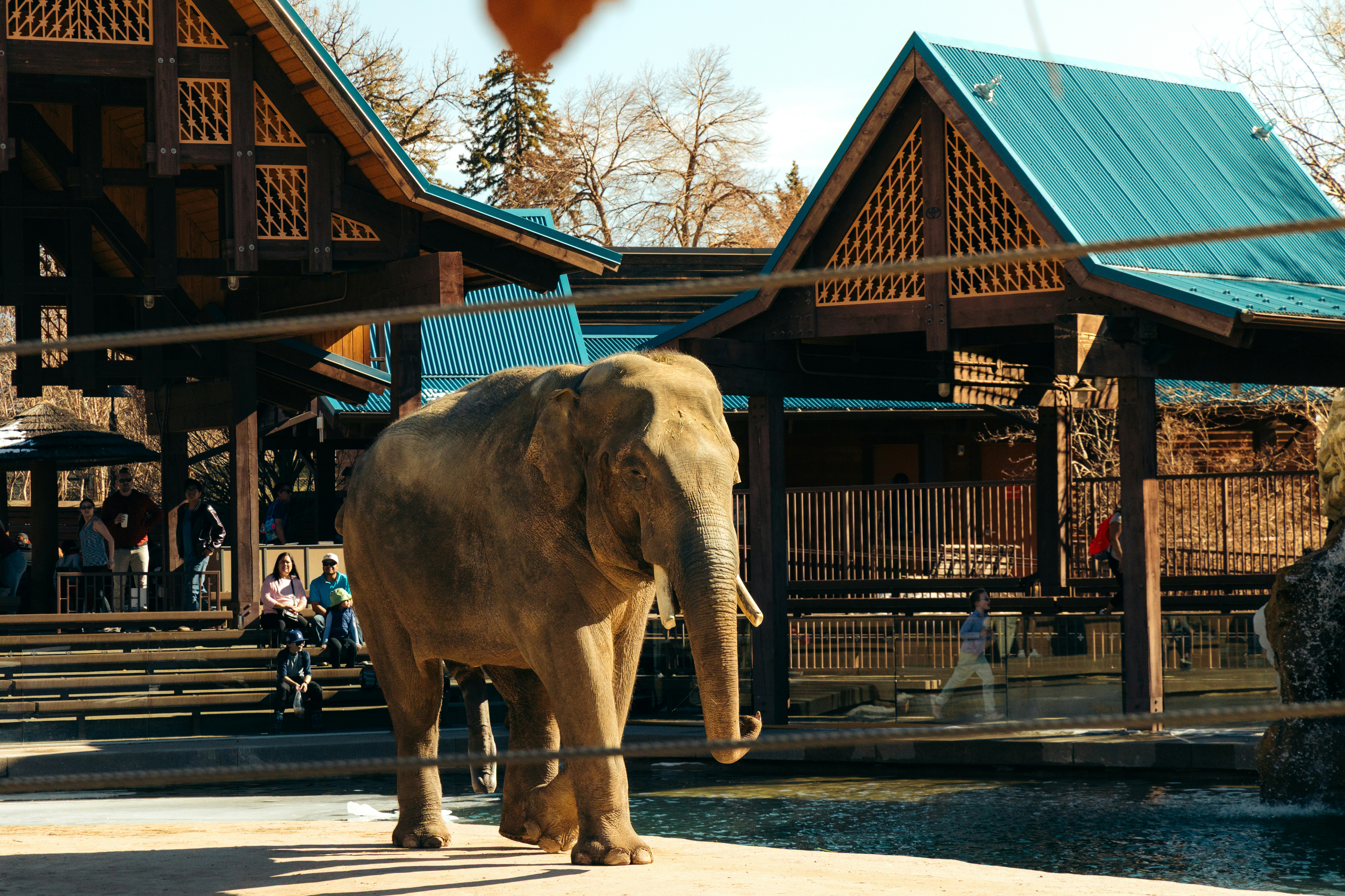 Photo by Luke Peterson with Canon EOS R