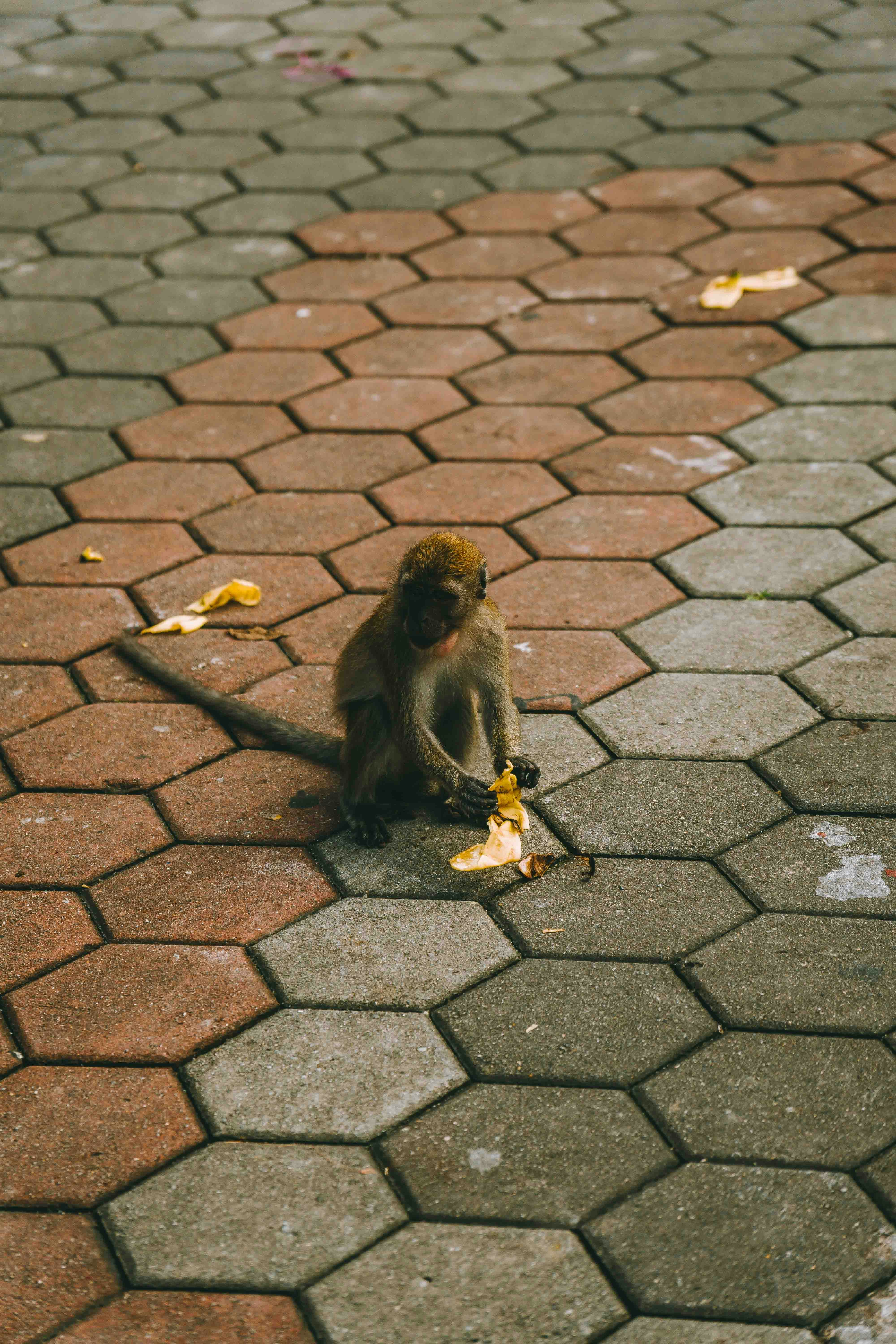 Photo by Khanh Nguyen with Sony Alpha 6400