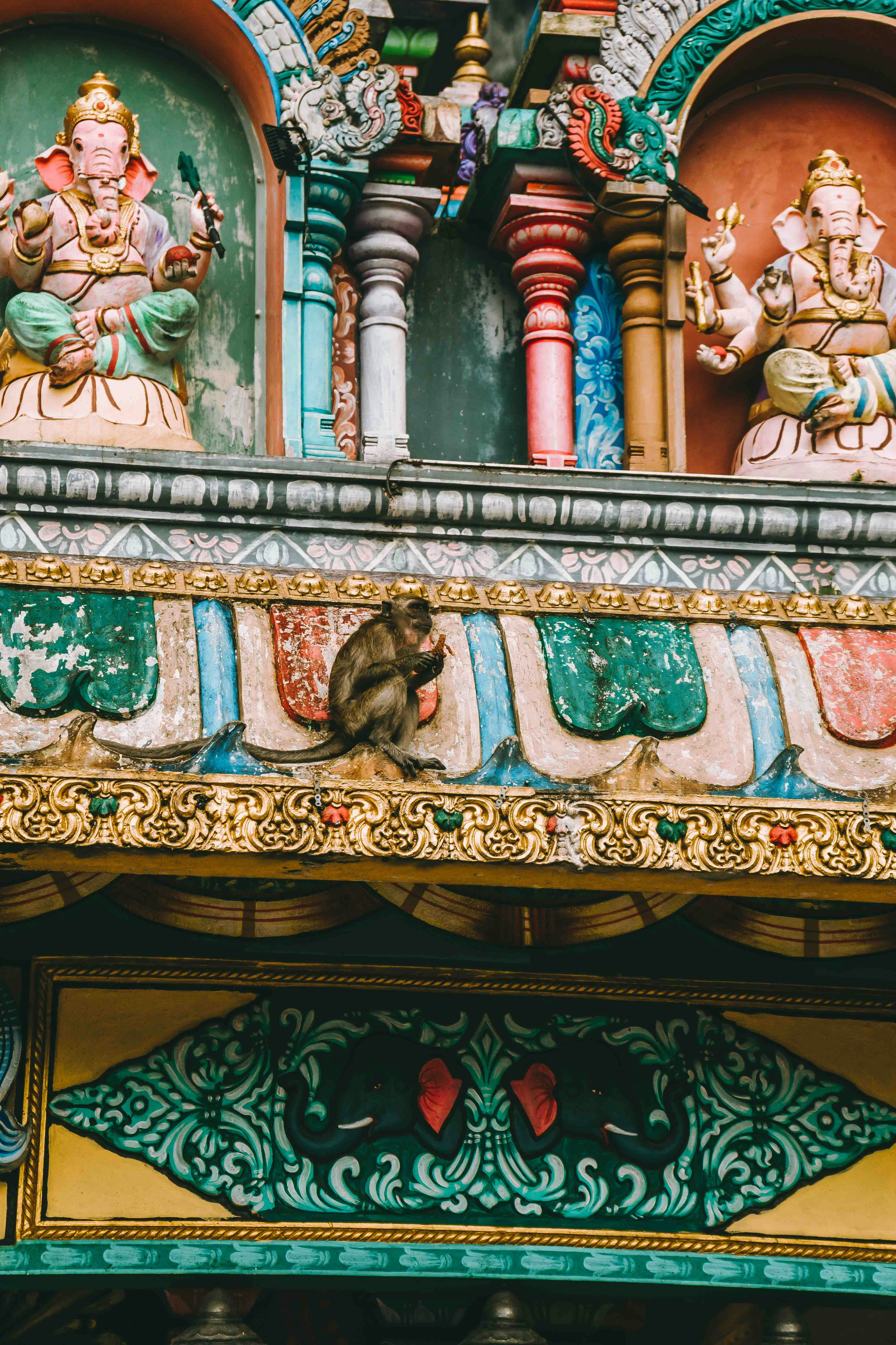 Monkey Amid Carved Guardians: A Moment on a Colorful Temple Frieze