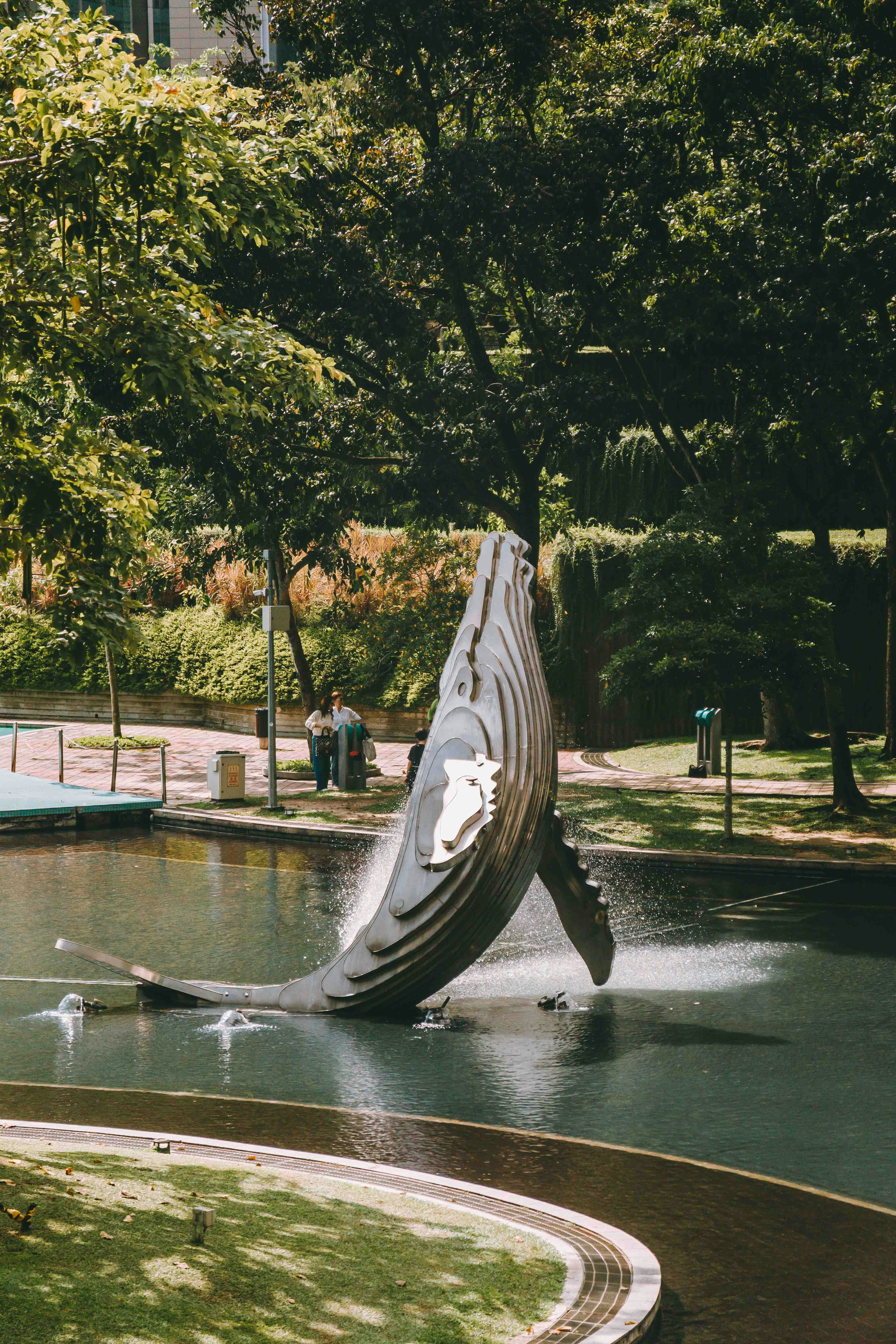 Whale-tail Arc Emerges from a Park Fountain