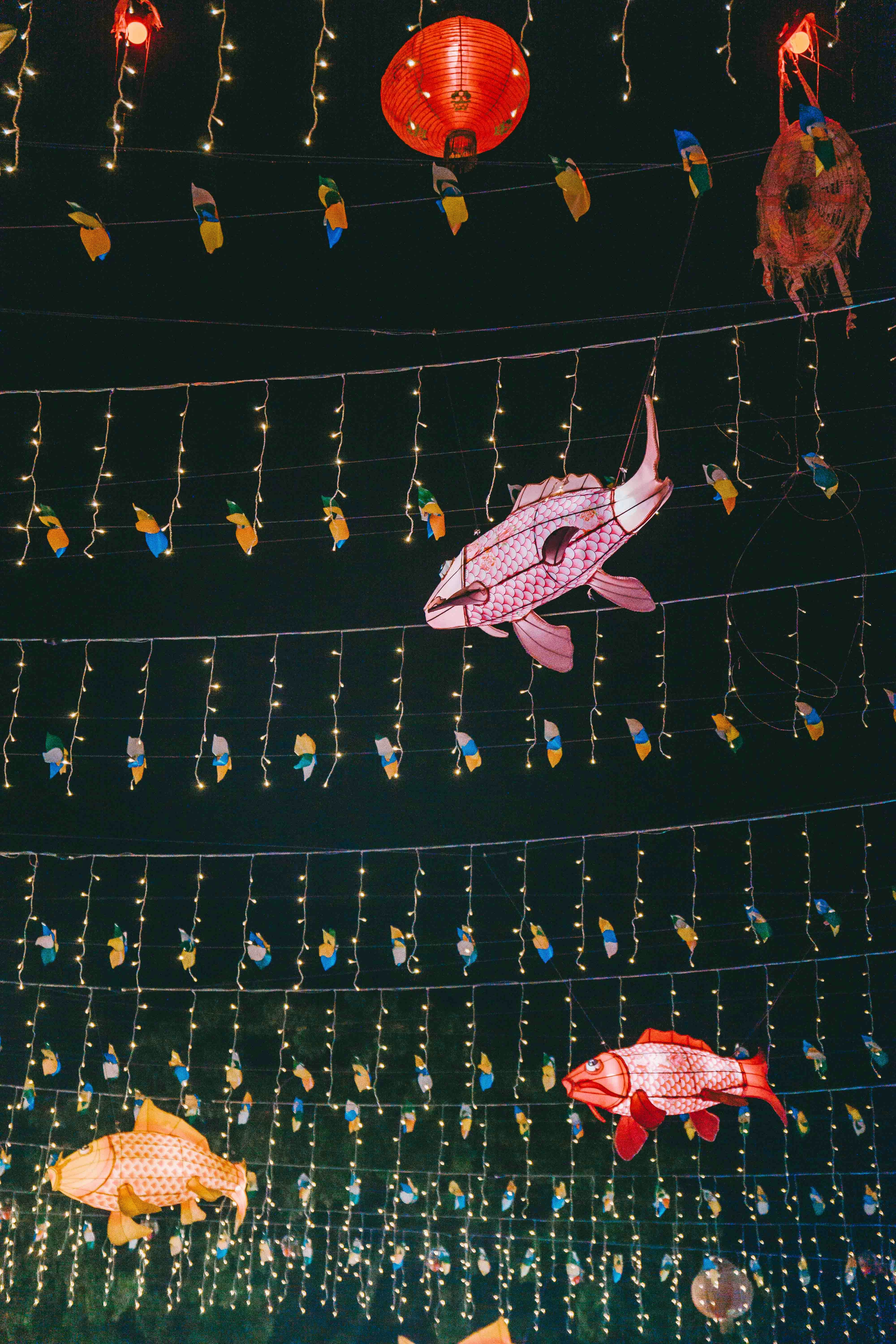 Night Sky Parade: Lanterns, Kites, and Koi in Festive Lights
