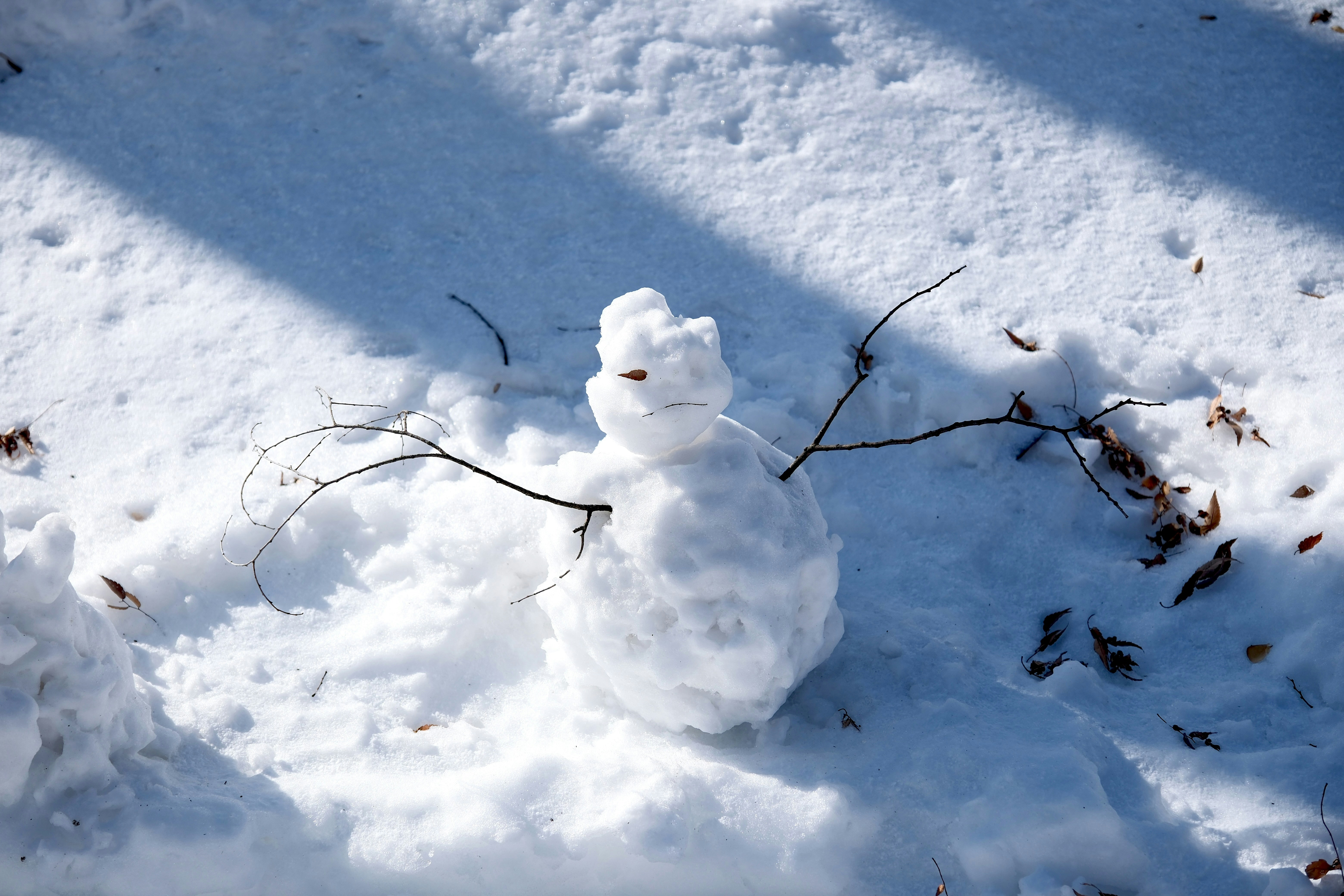 Photo by Seiya Maeda with Fujifilm X-H2S