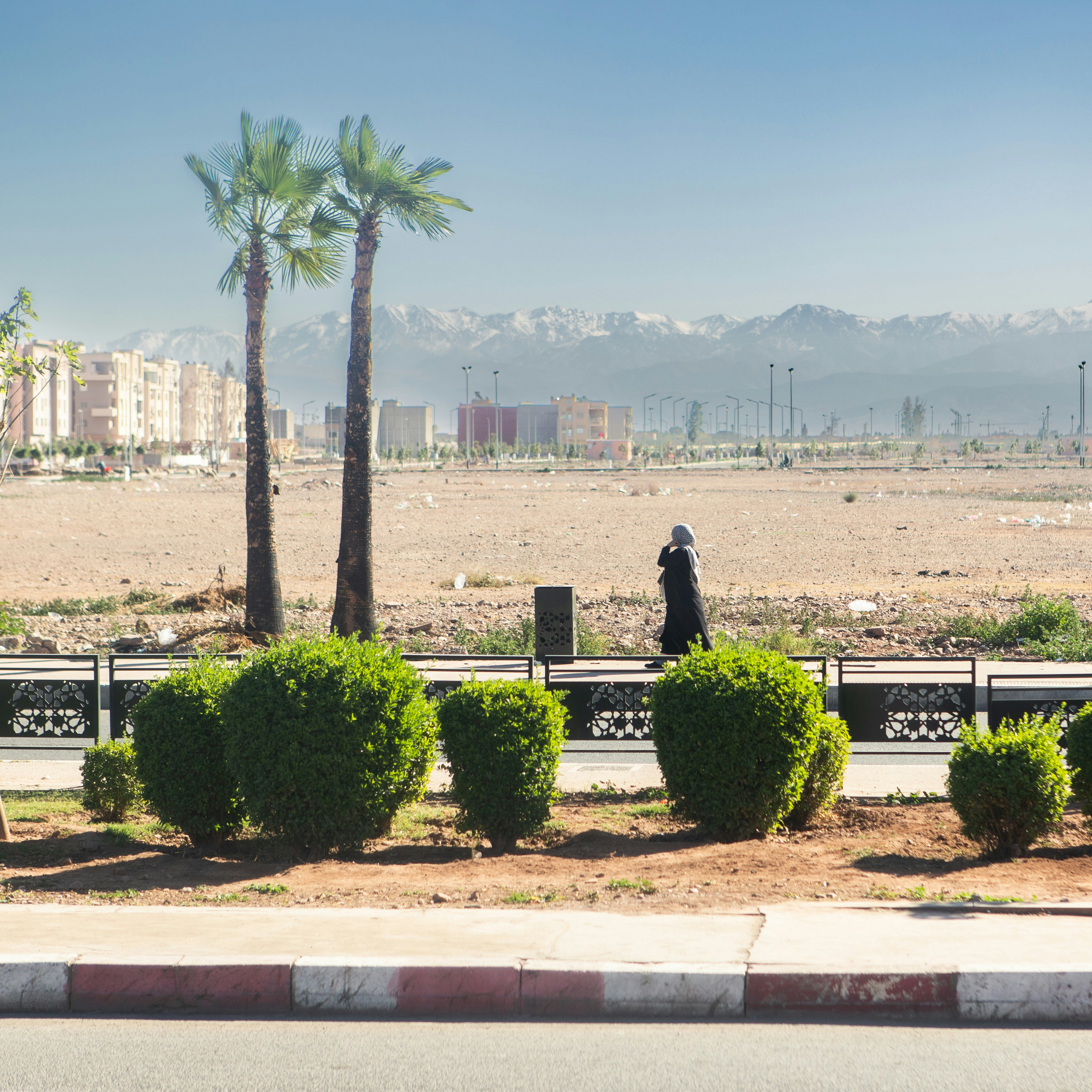 Solitary walker along a palm-fringed desert boulevard with distant snow-capped peaks