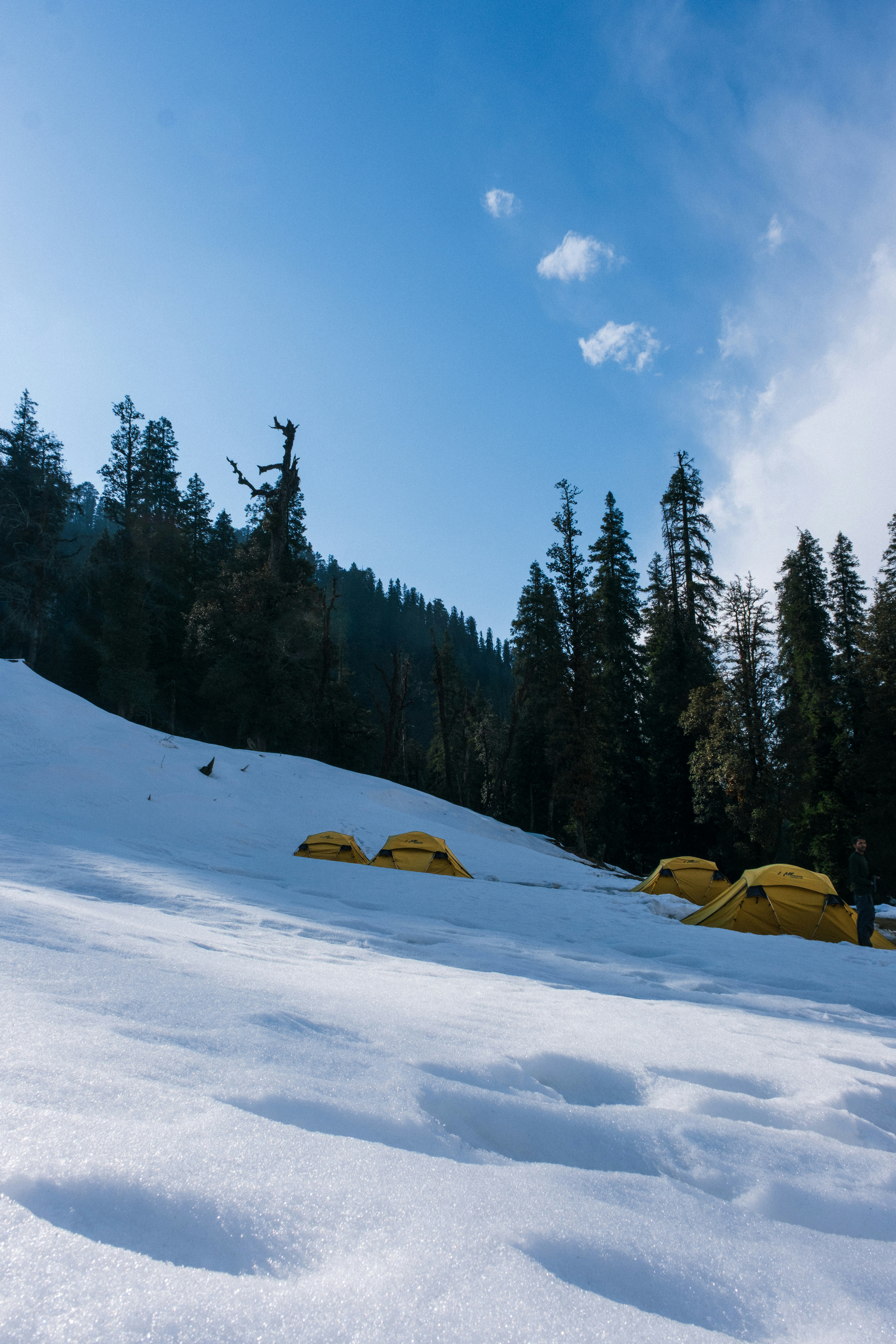 Yellow Tents on Snow: Alpine Camp Beneath a Clear Blue Sky
