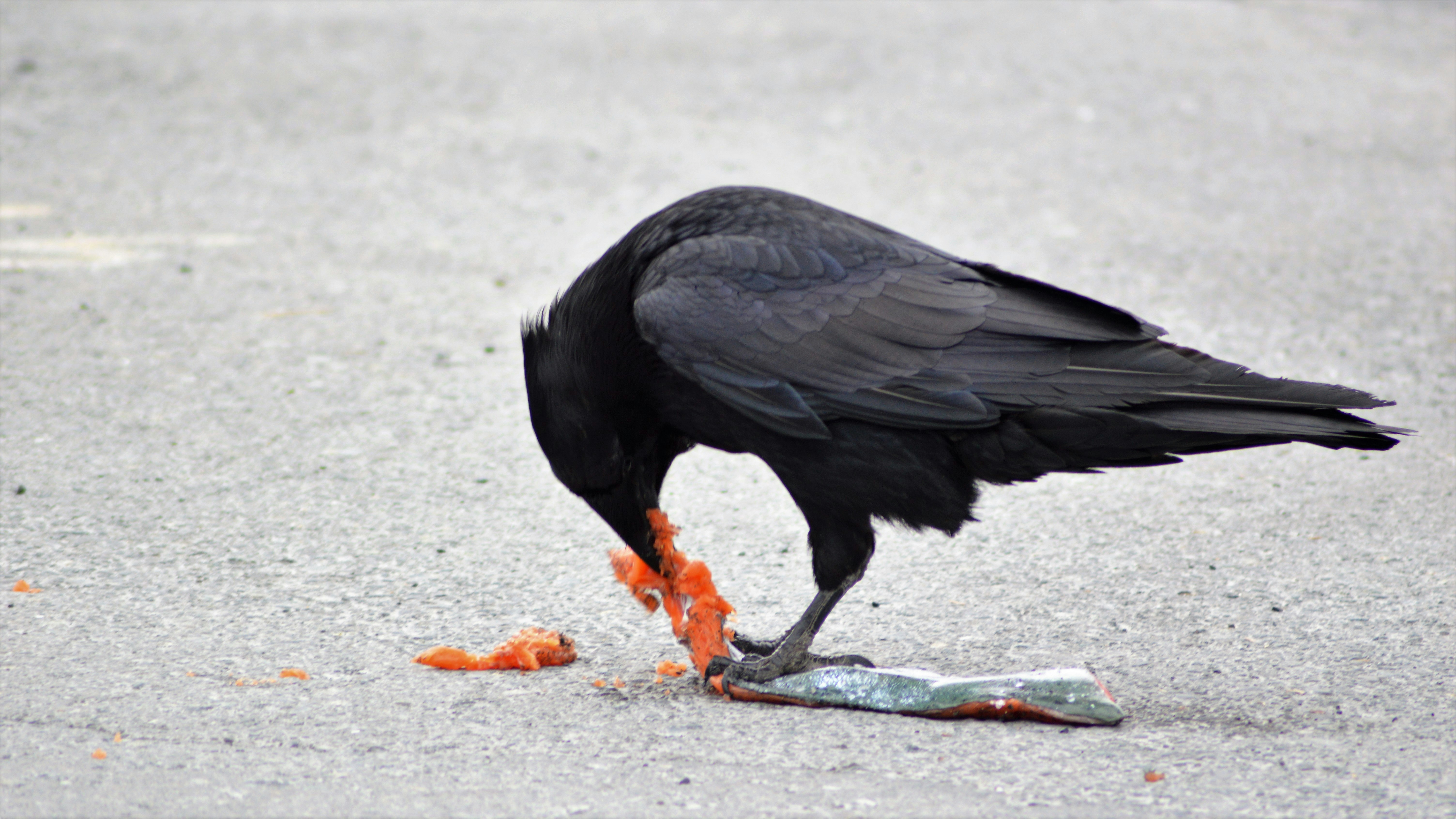 Photo by _ Sonder_ with Nikon D3200