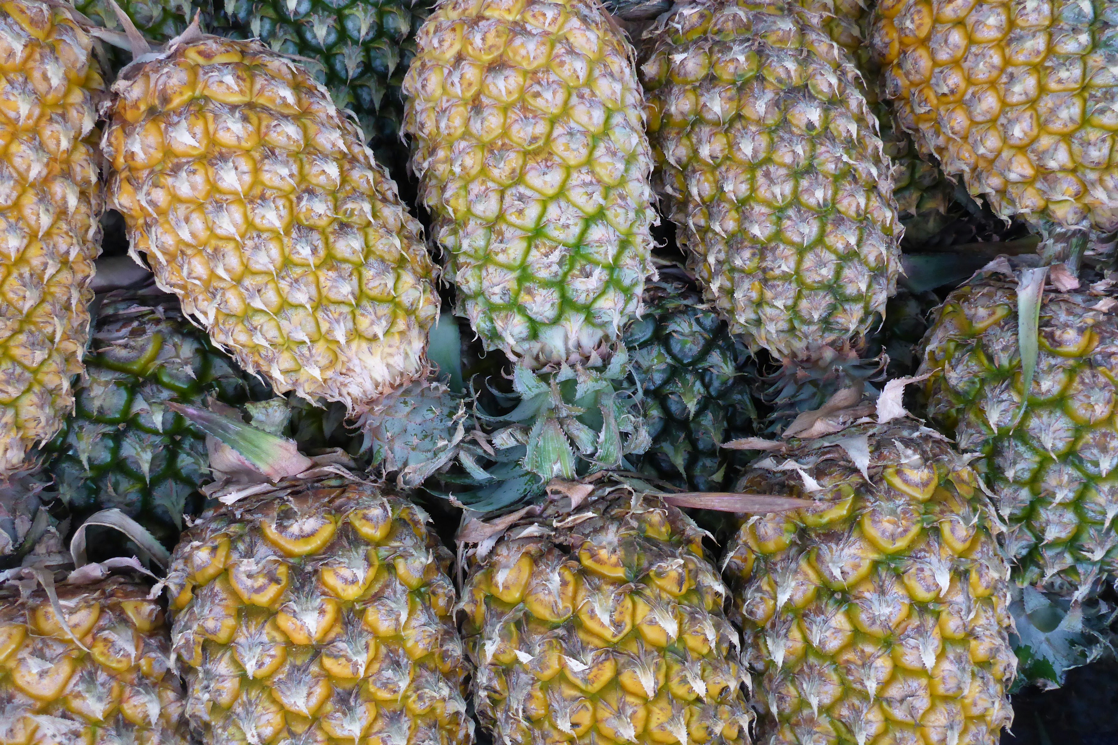 Ein Haufen Ananas, der nebeneinander sitzt Foto – Kostenloses Bild zum ...