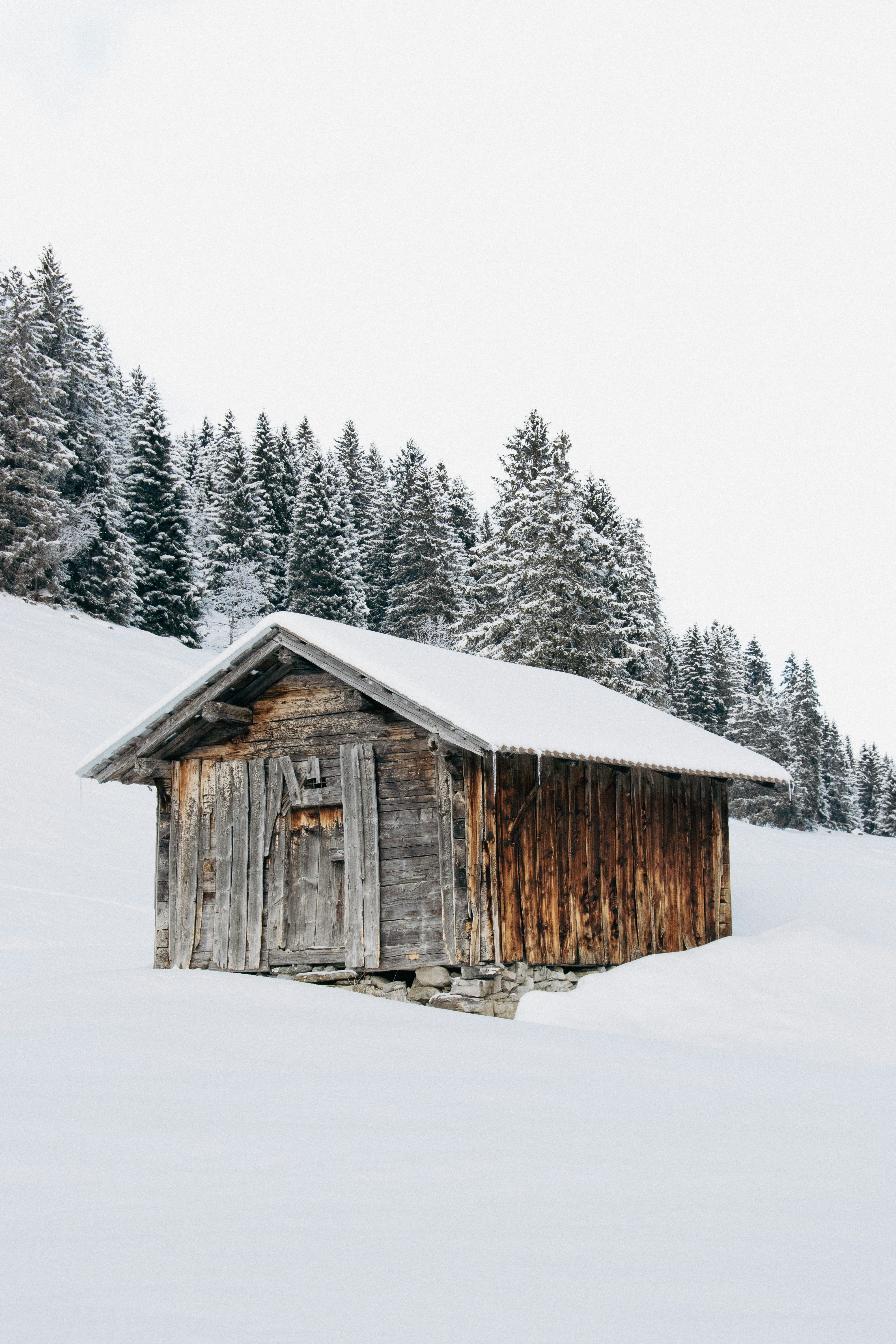 Wooden cabin nestled in a snowy landscape, surrounded by tall evergreen trees. The serene atmosphere captures the essence of winter solitude.