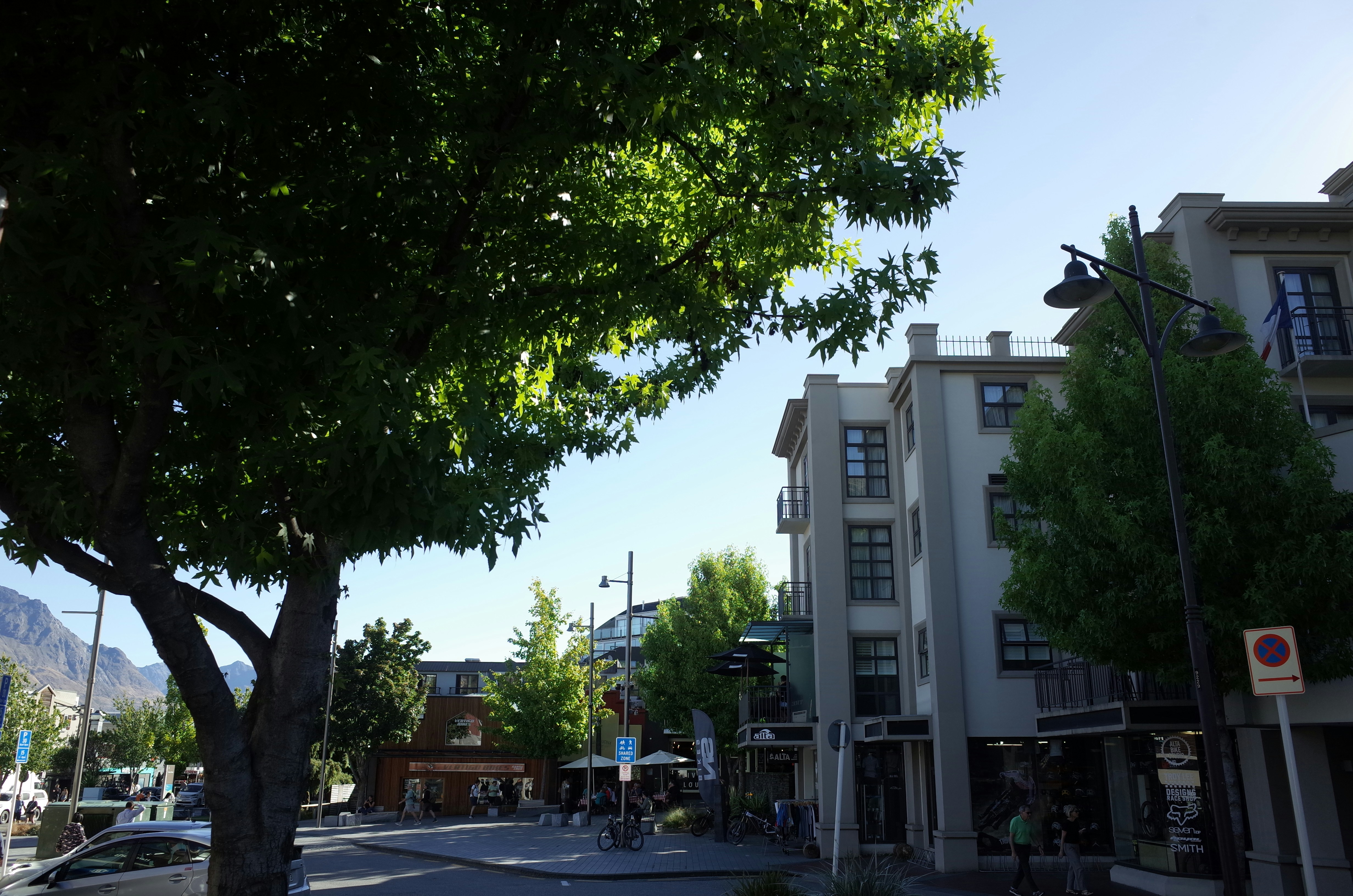 Sunlit Streetscape Under Verdant Canopy