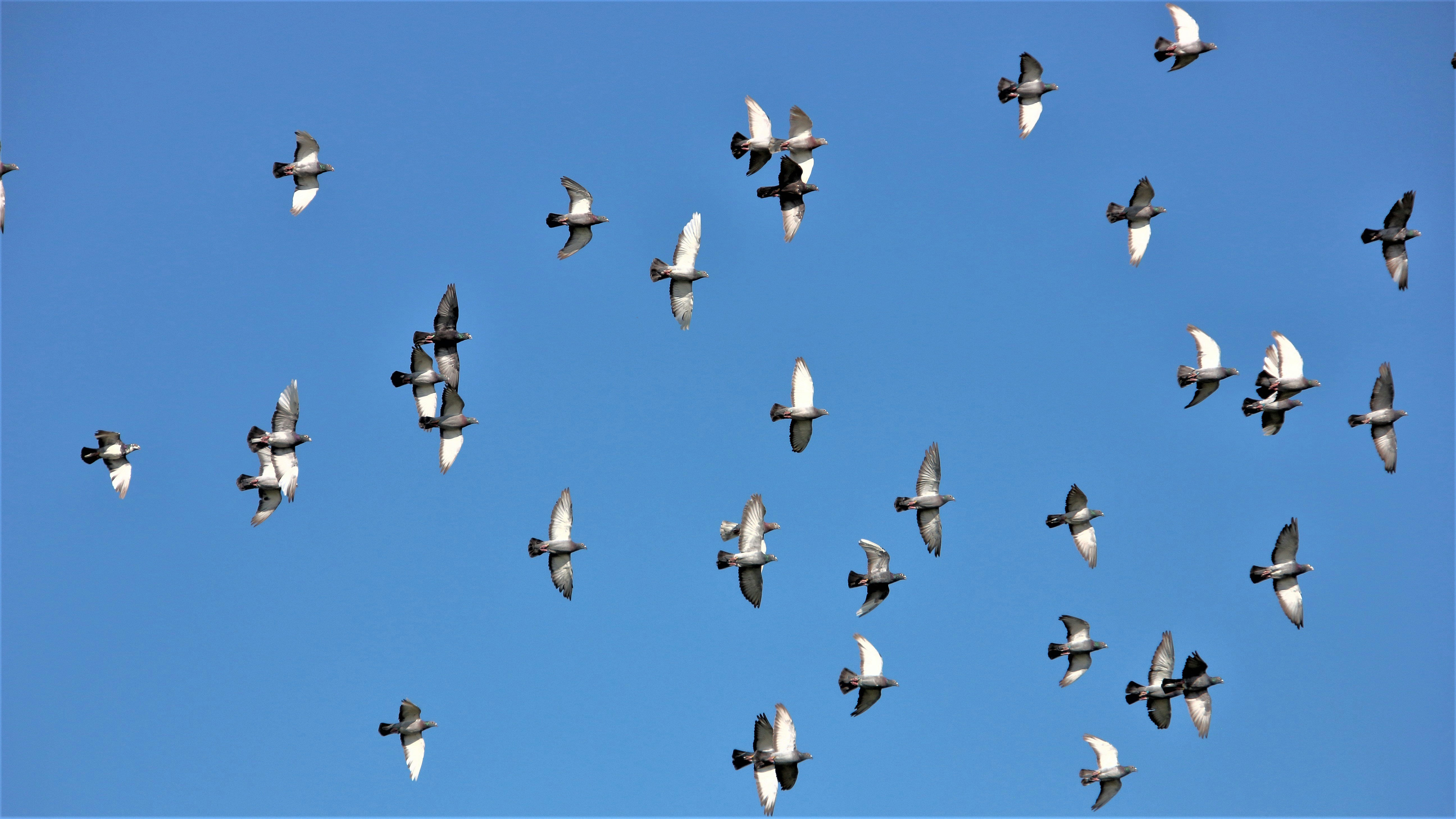 Photo by Lex Noordhoff with Canon EOS 600D