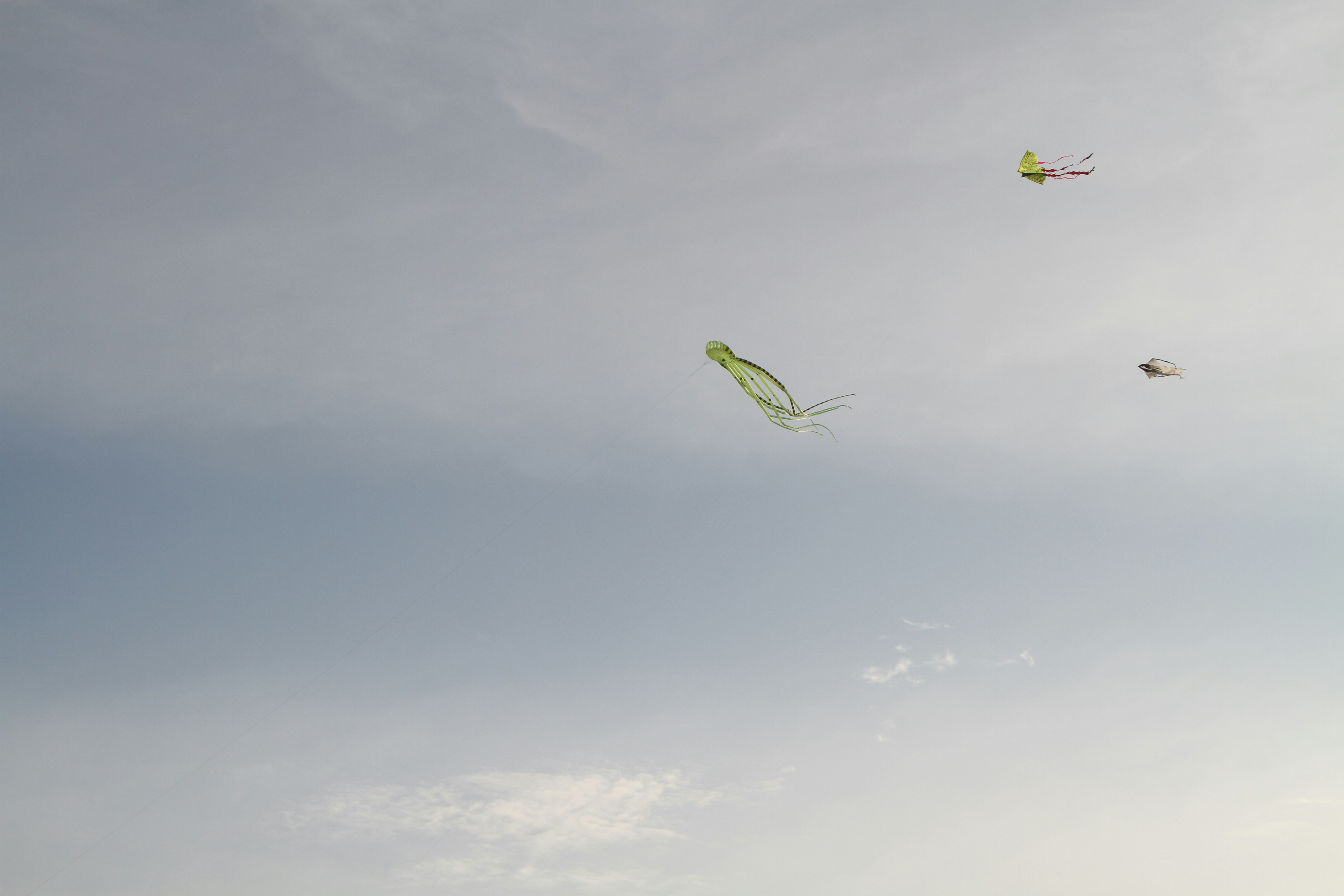 Photo by Ryann Pham with Canon EOS 7D