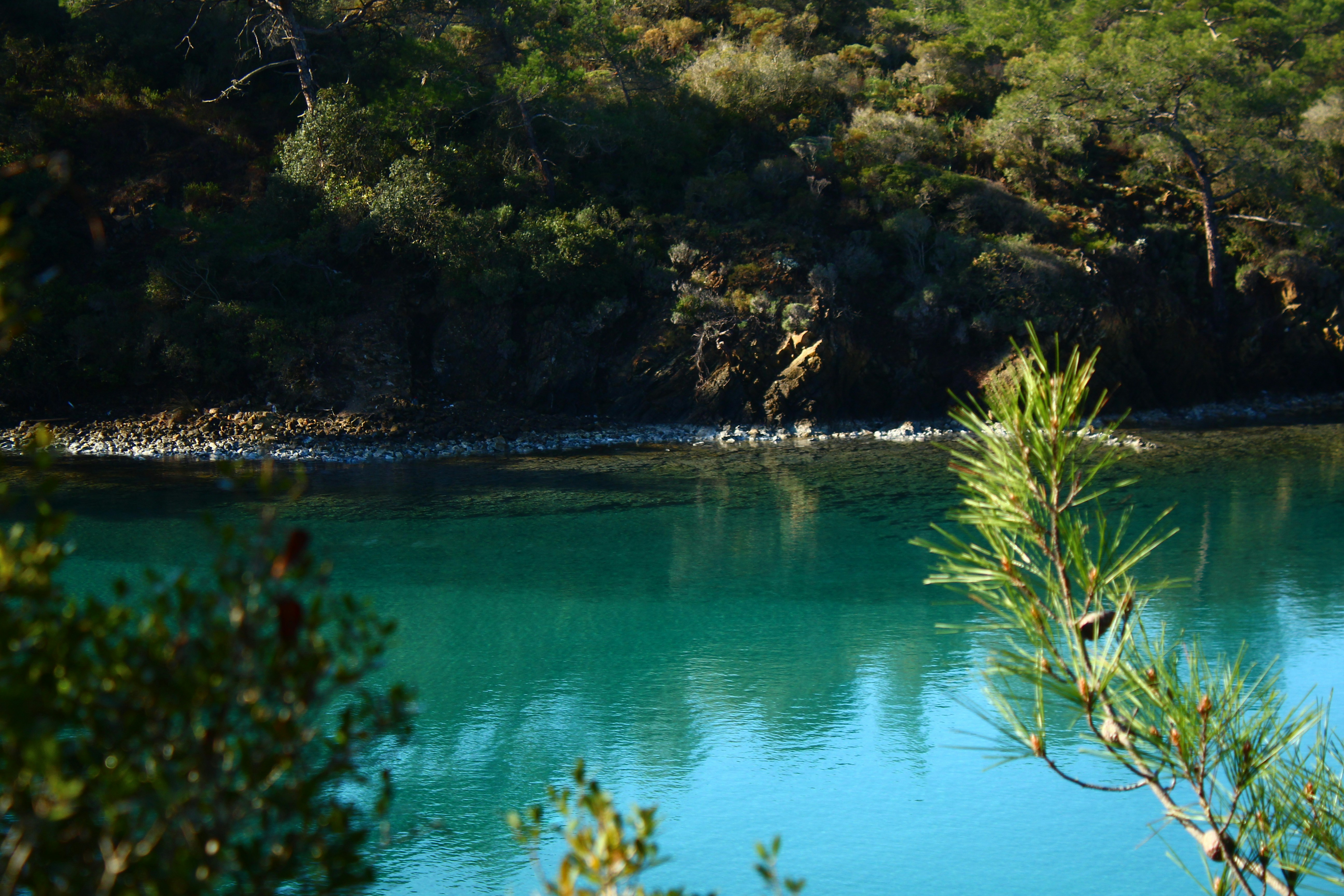 Turquoise water reflecting surrounding trees with a rocky shoreline in the background.