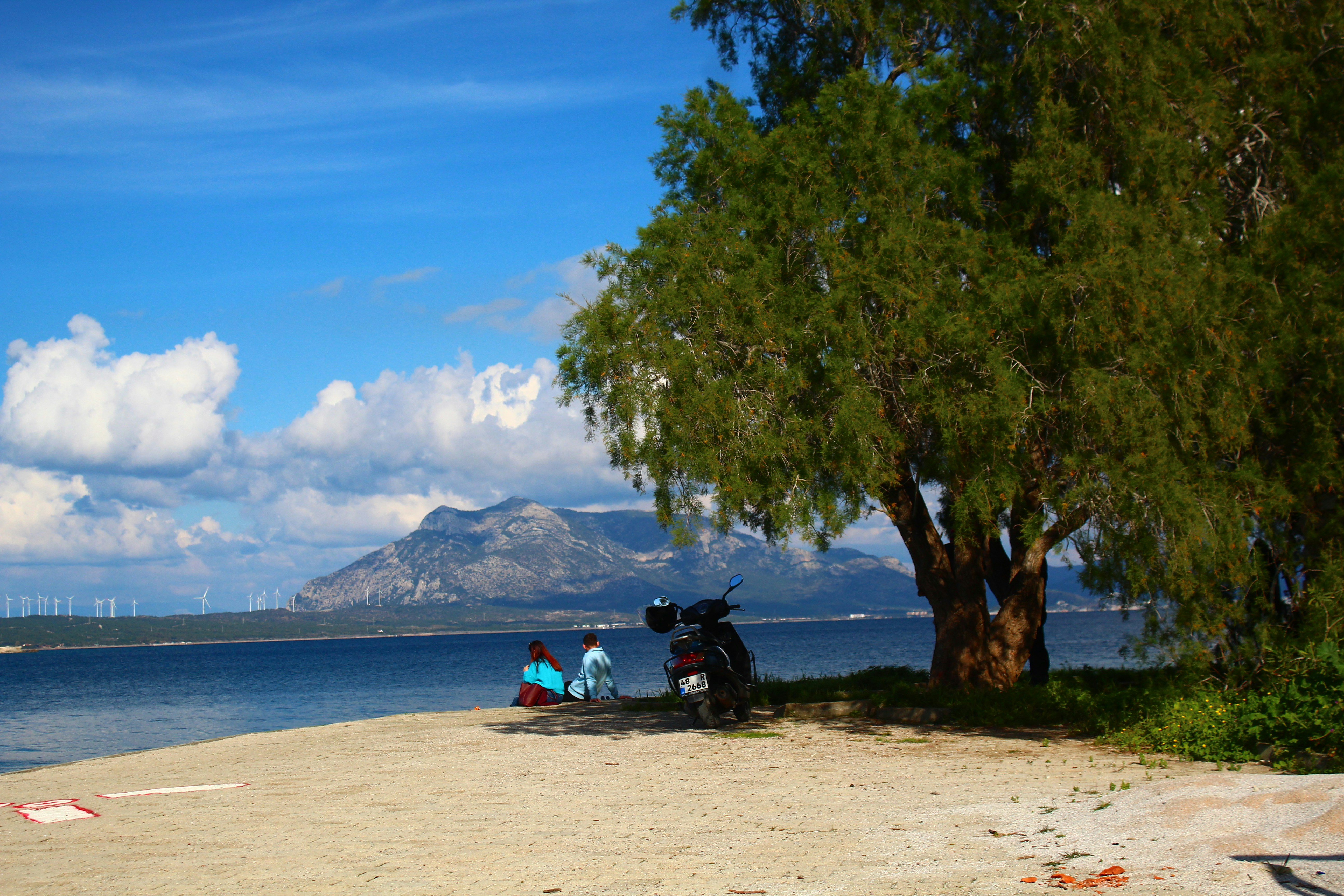 Shoreline Interlude: Two travelers and a parked motorcycle beneath a windswept tree