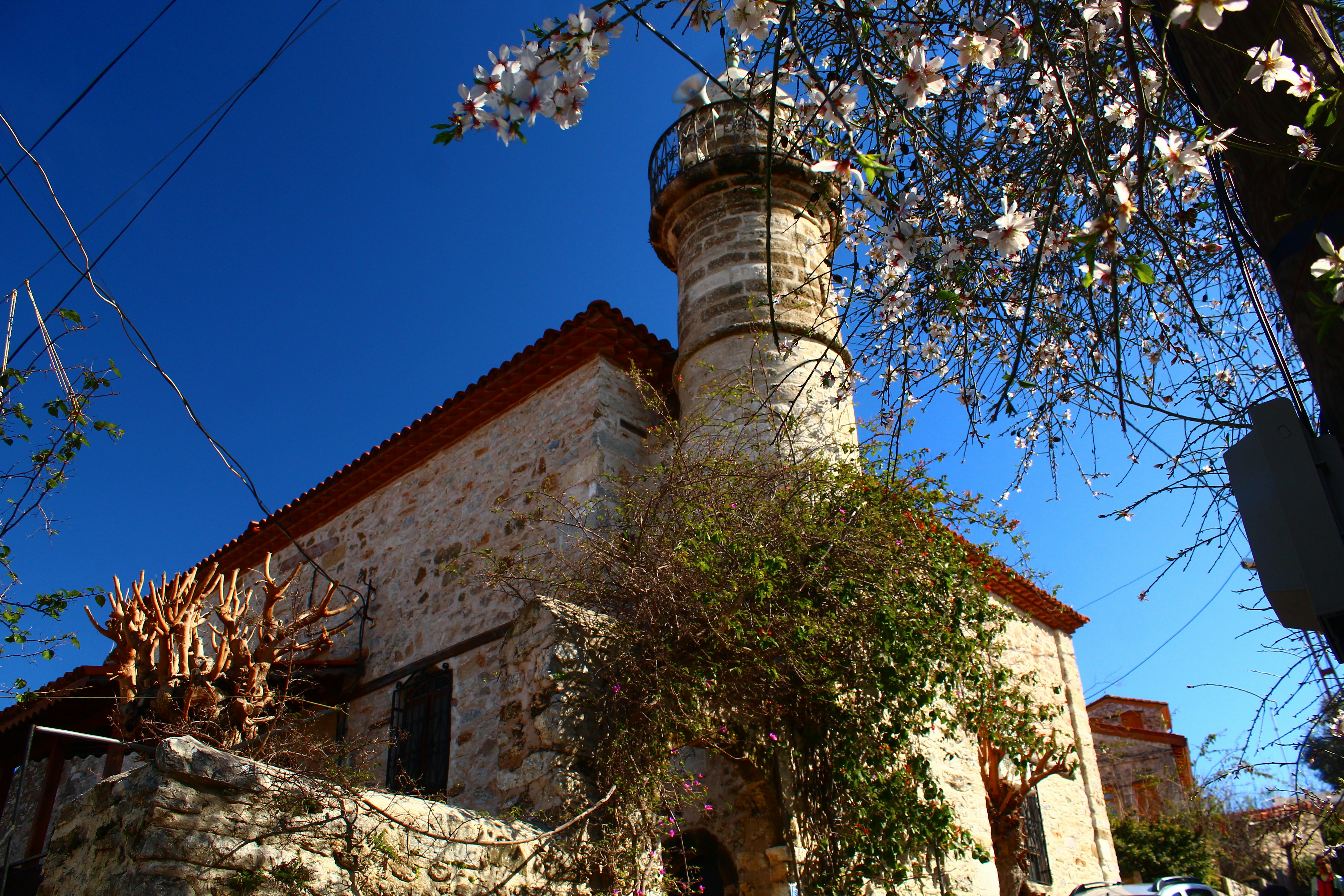 Photo by Seval Torun with Canon EOS 4000D