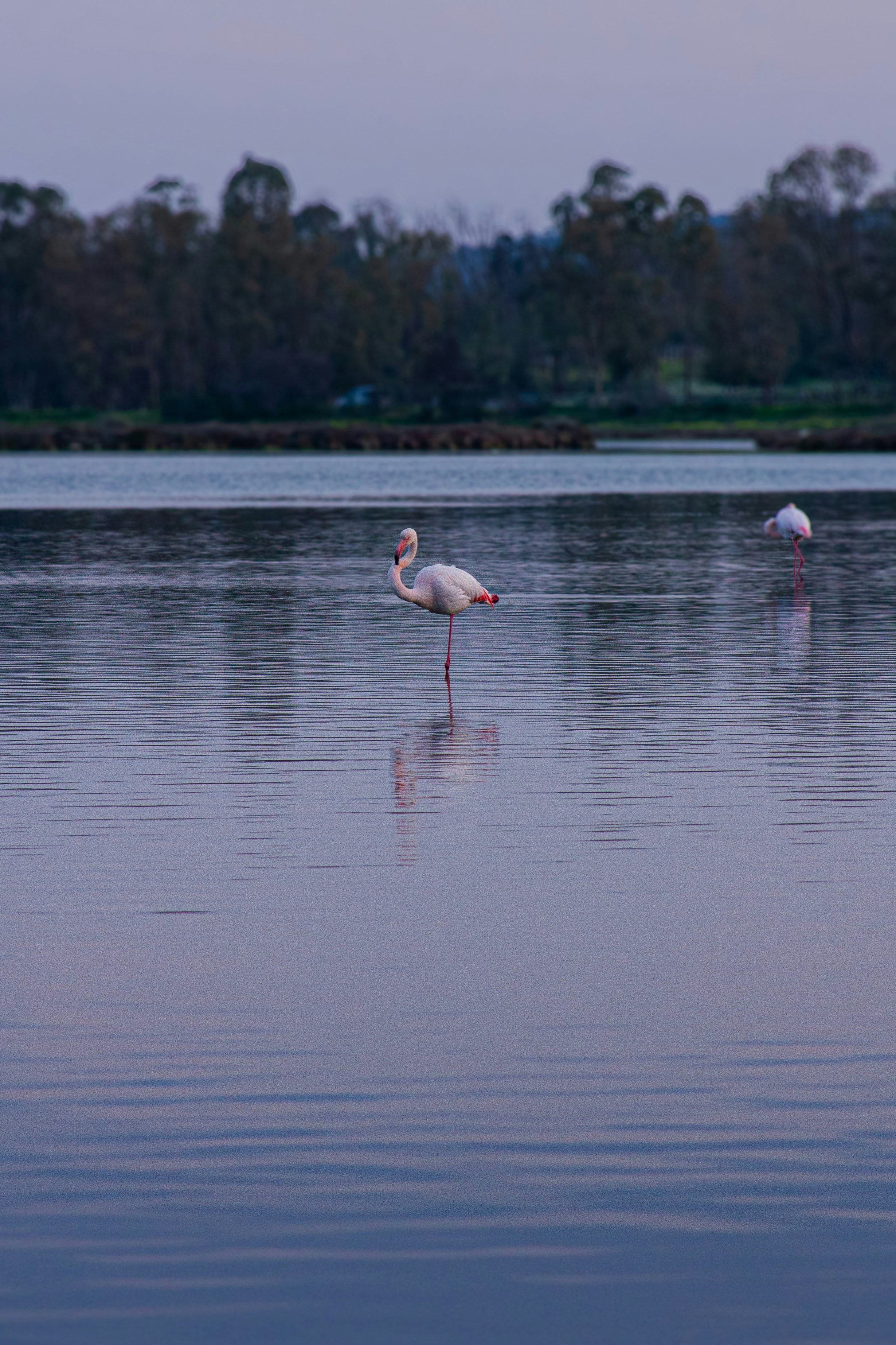 Photo by sandra congiu with Canon EOS 7D