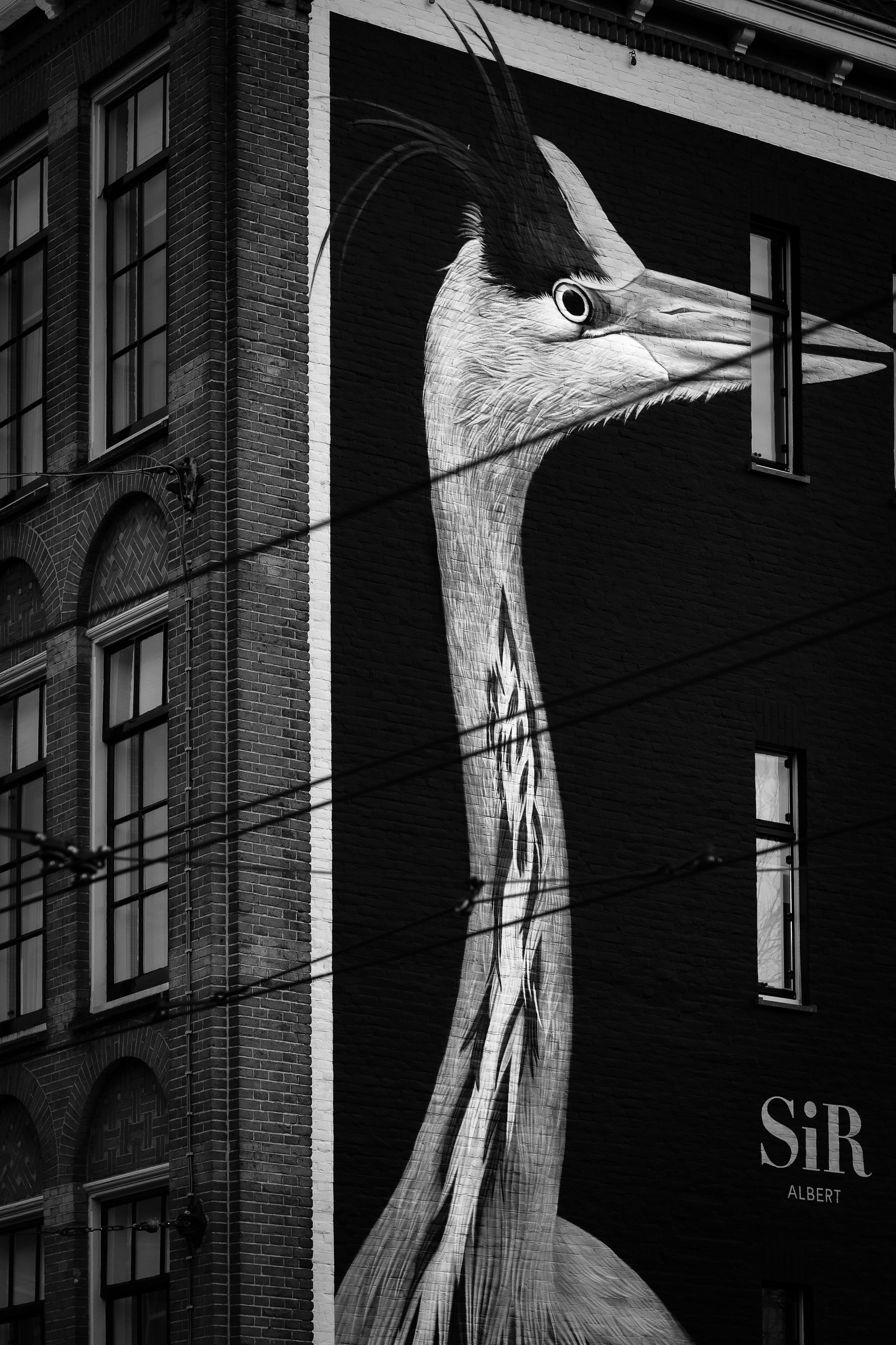 Urban Heron: A Giant Portrait Soaring Along the Brick
