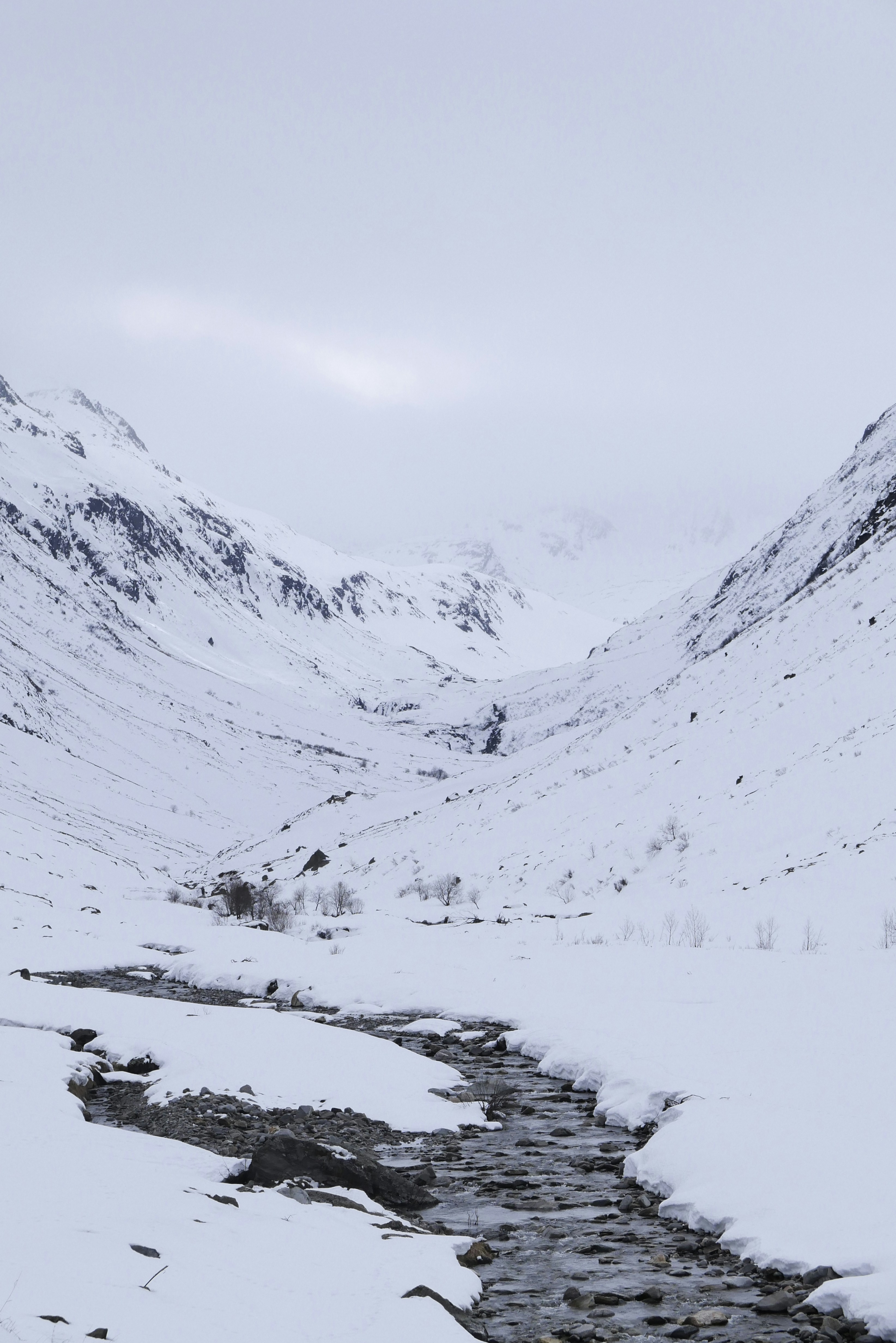 Snowbound Valley: The Silver Thread of a Mountain Stream