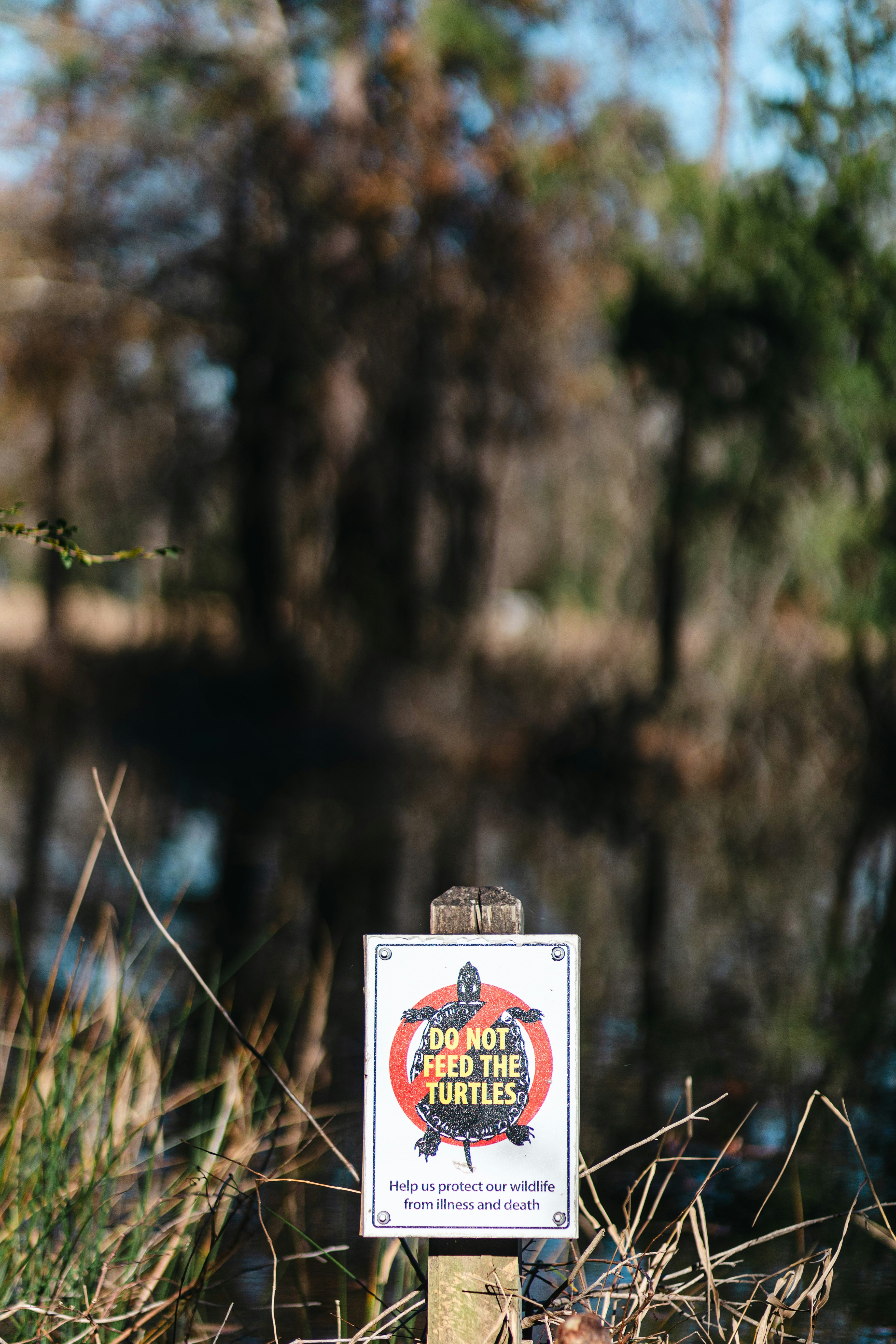A sign that is sitting in the grass