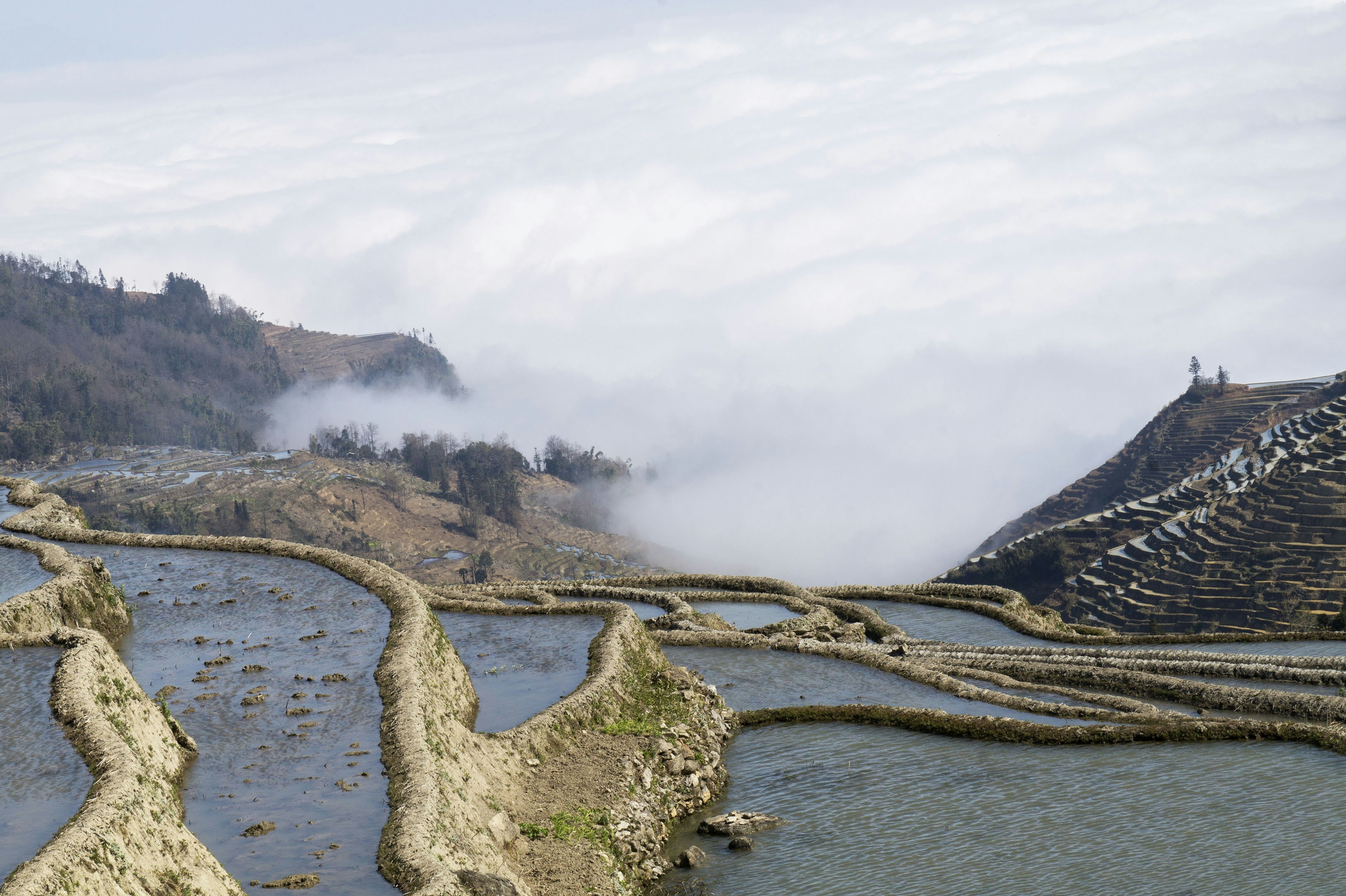 Terraced Reflections in Misty Hills