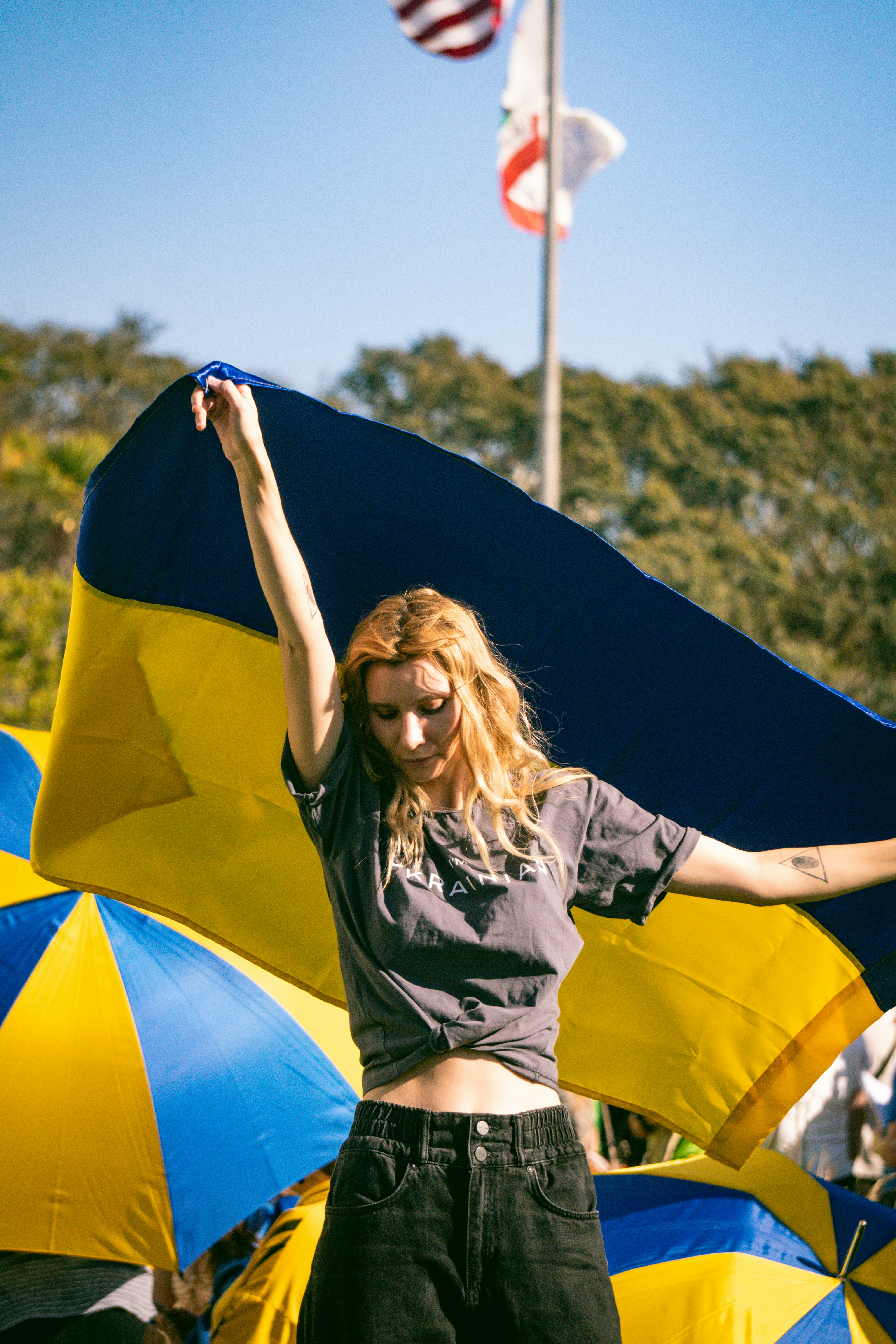 Unfurling Hope Under a Sunlit Flag at a Colorful Festival