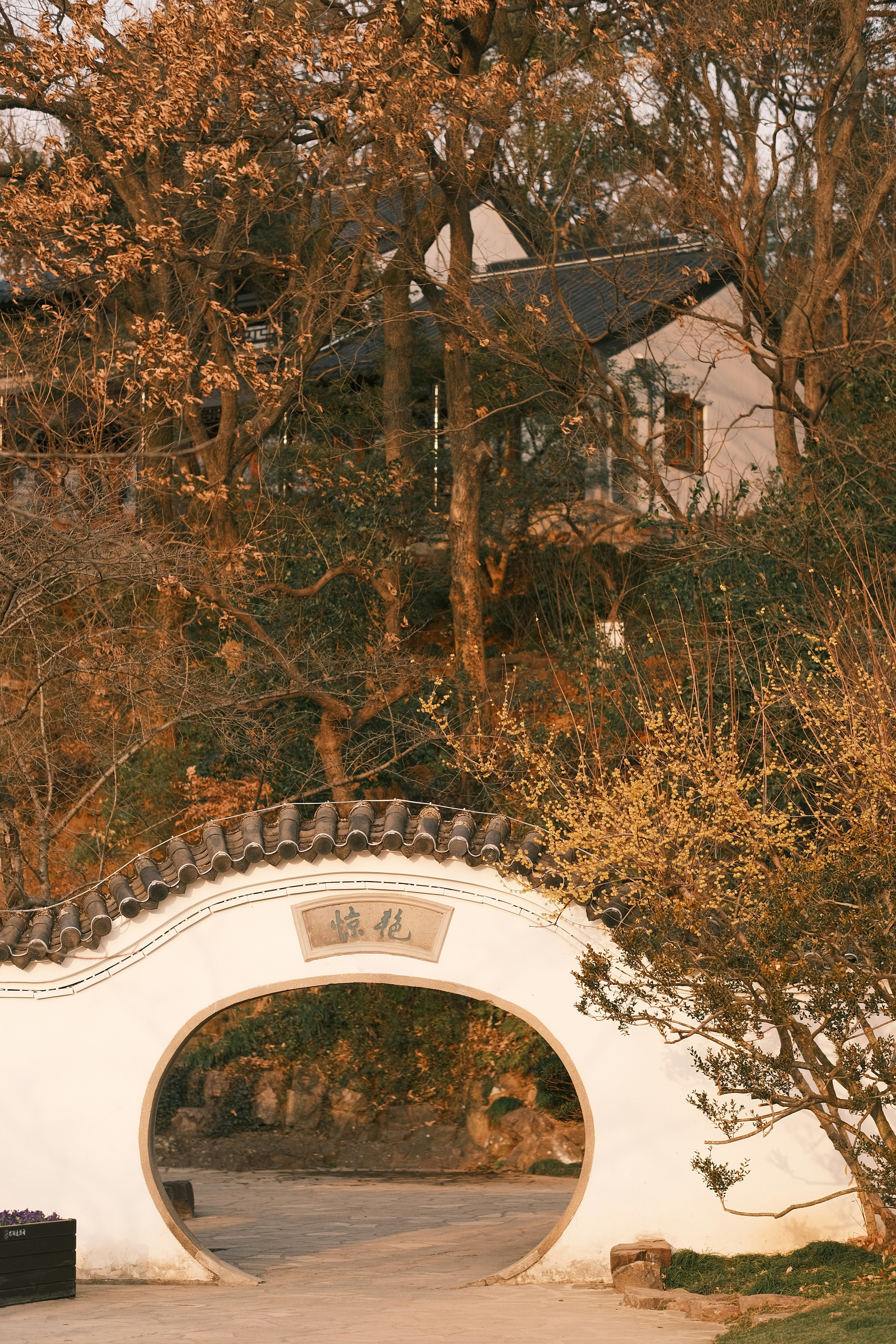 Autumn Moon Gate: Tranquil Arch Framed by Gold and Shadows