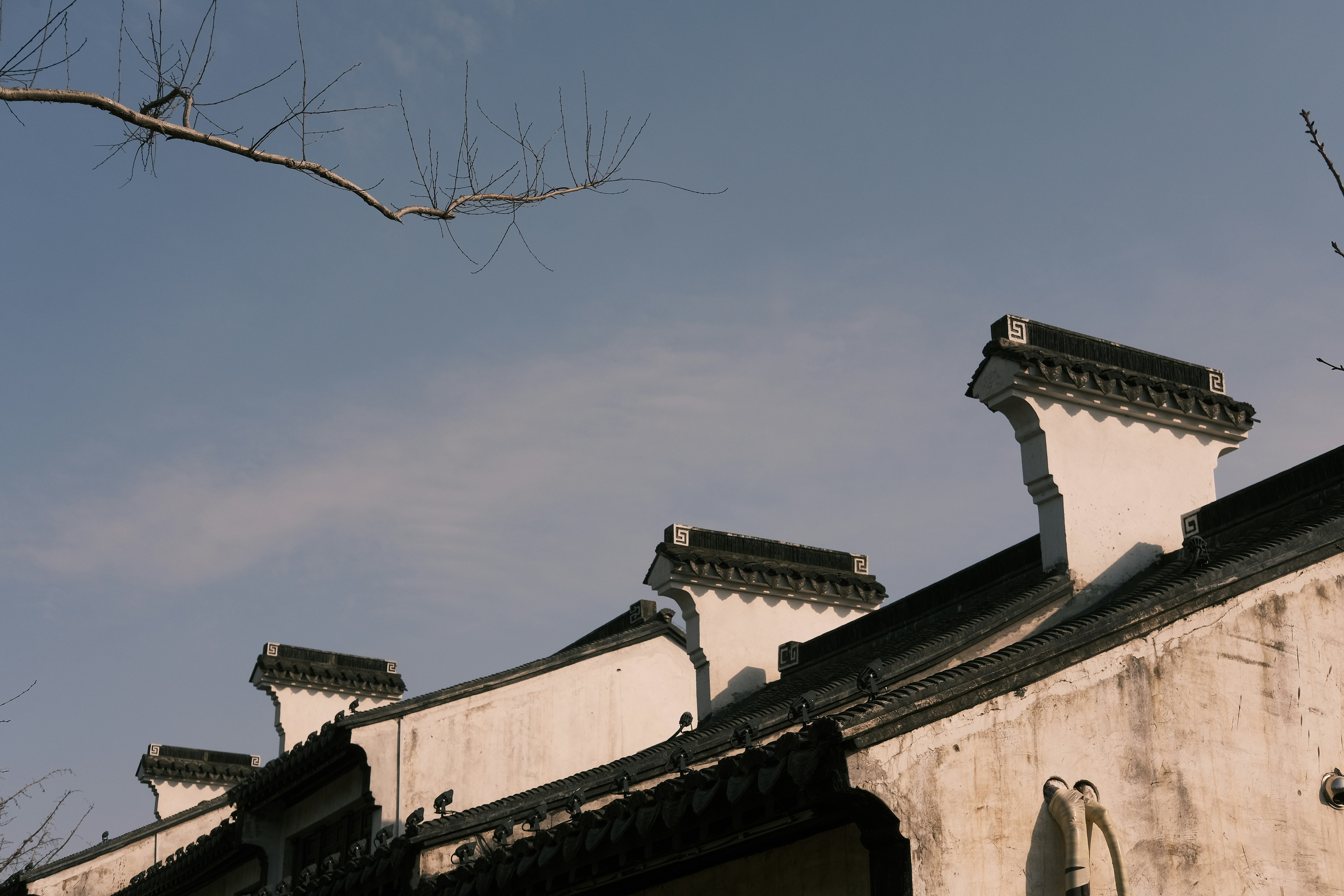 Traditional architecture silhouetted against a clear sky with a bare tree branch.