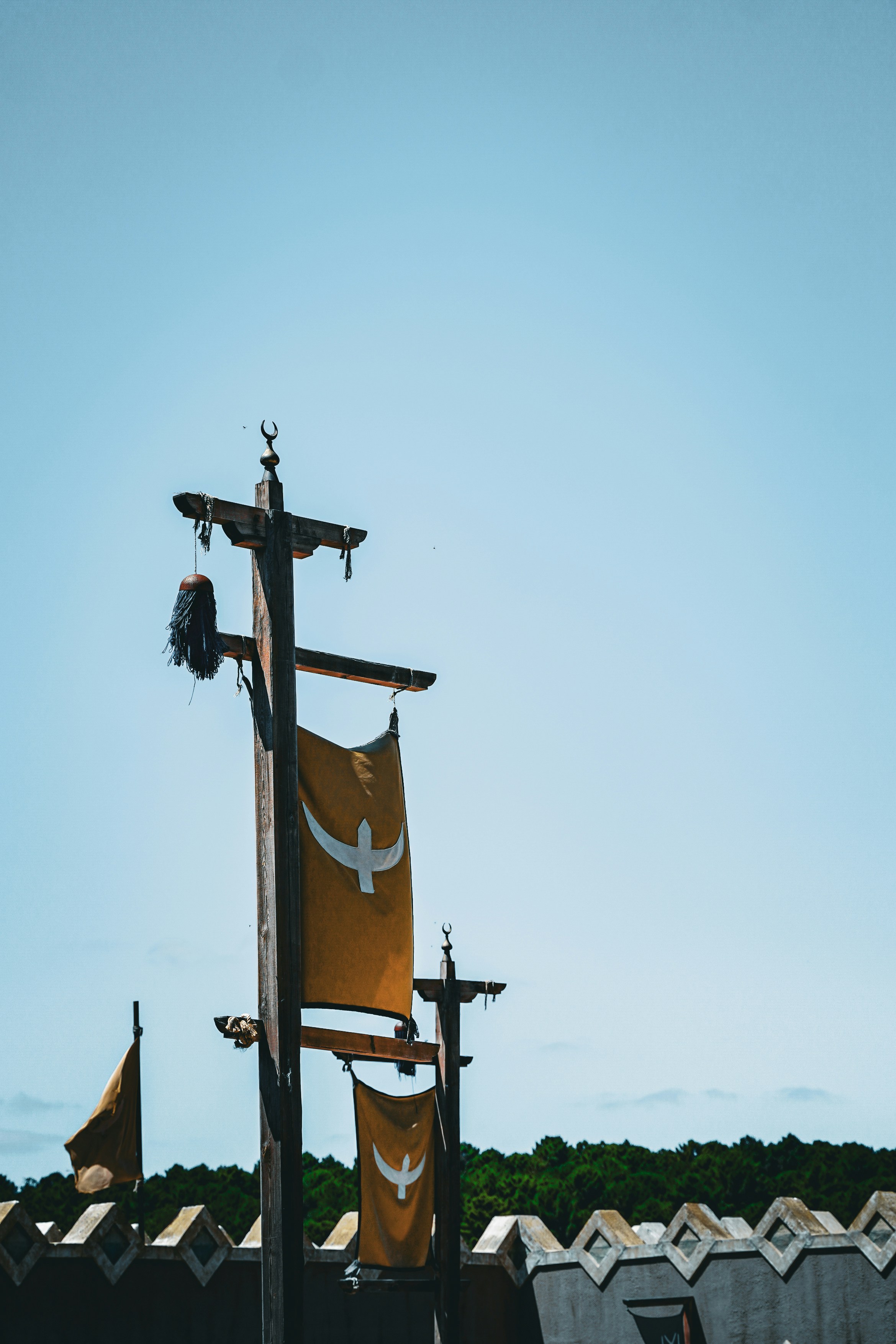 Heralds of the Past: Flags of Tradition