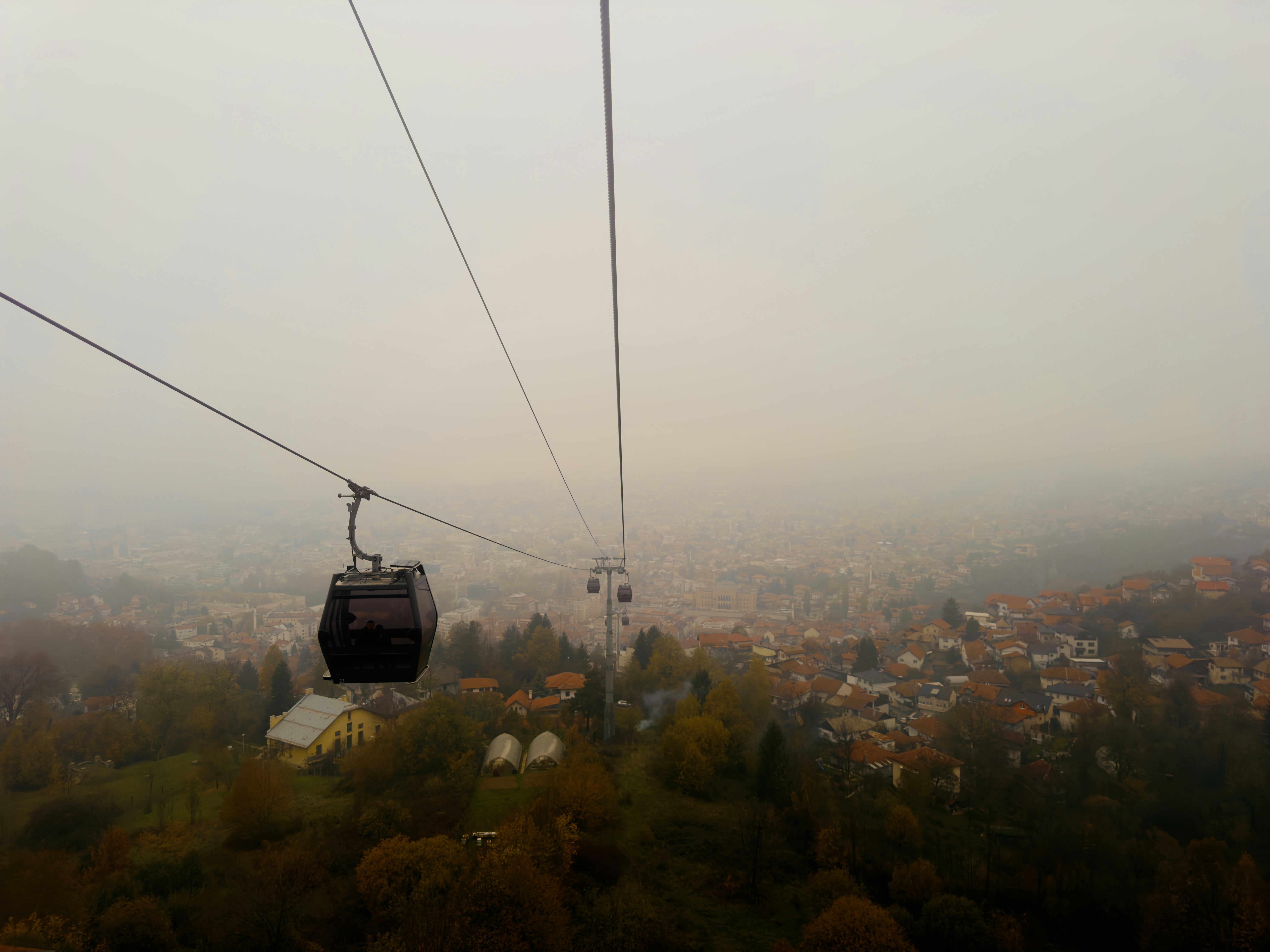 Cable cars glide above a fog-covered cityscape with scattered autumn foliage.